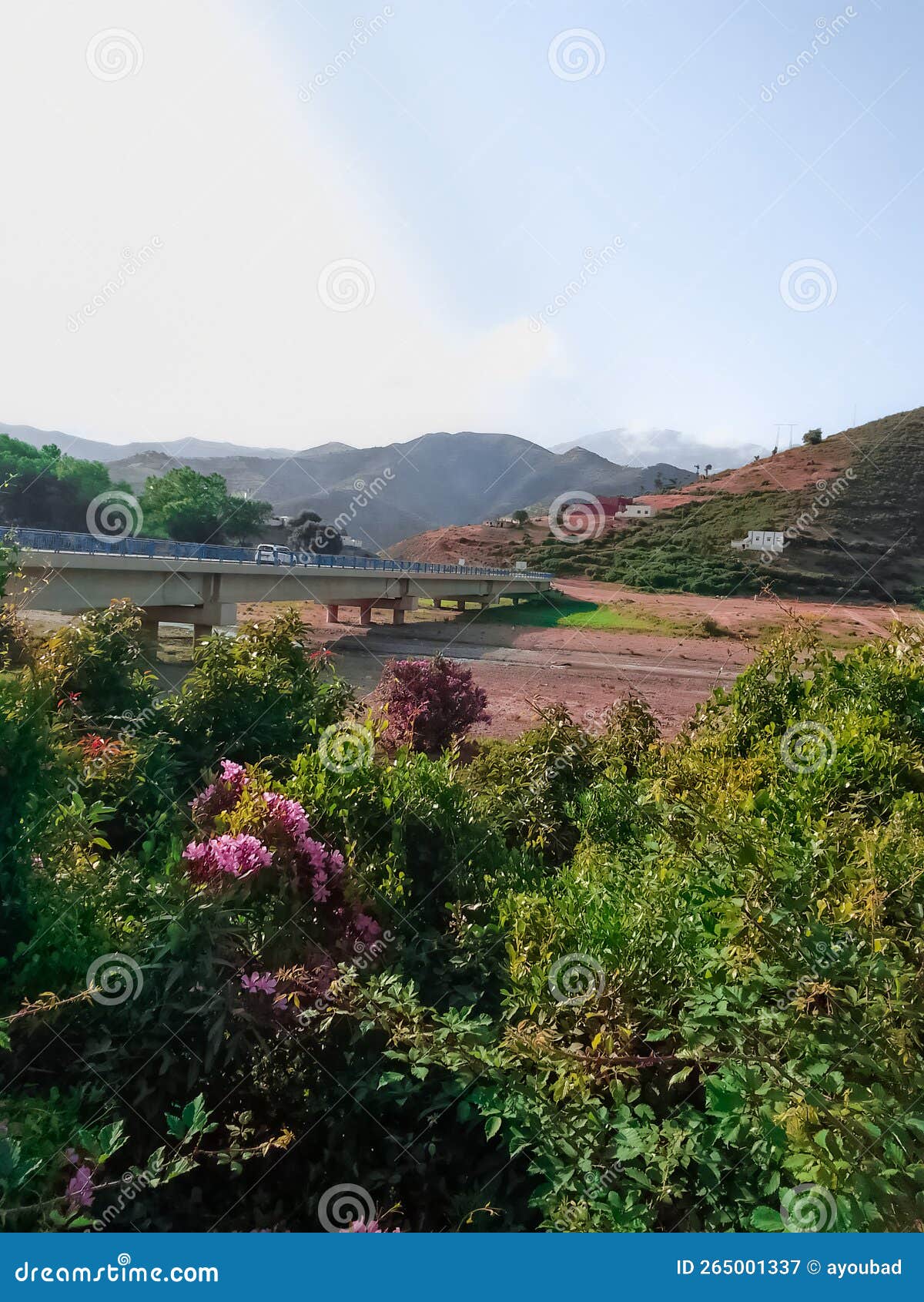 The River Valley is Absolutely Dry Stock Image - Image of division ...