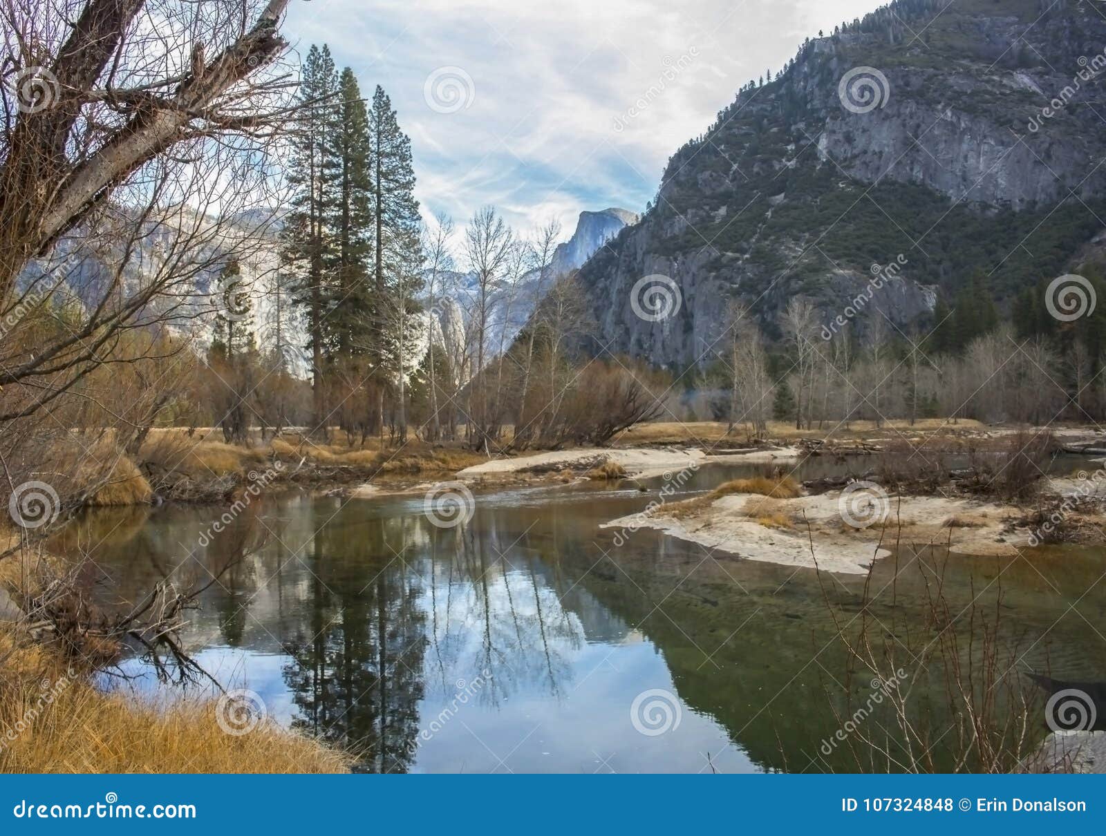 River in Foreground with Reflection of Forest and Mountains Stock Photo ...