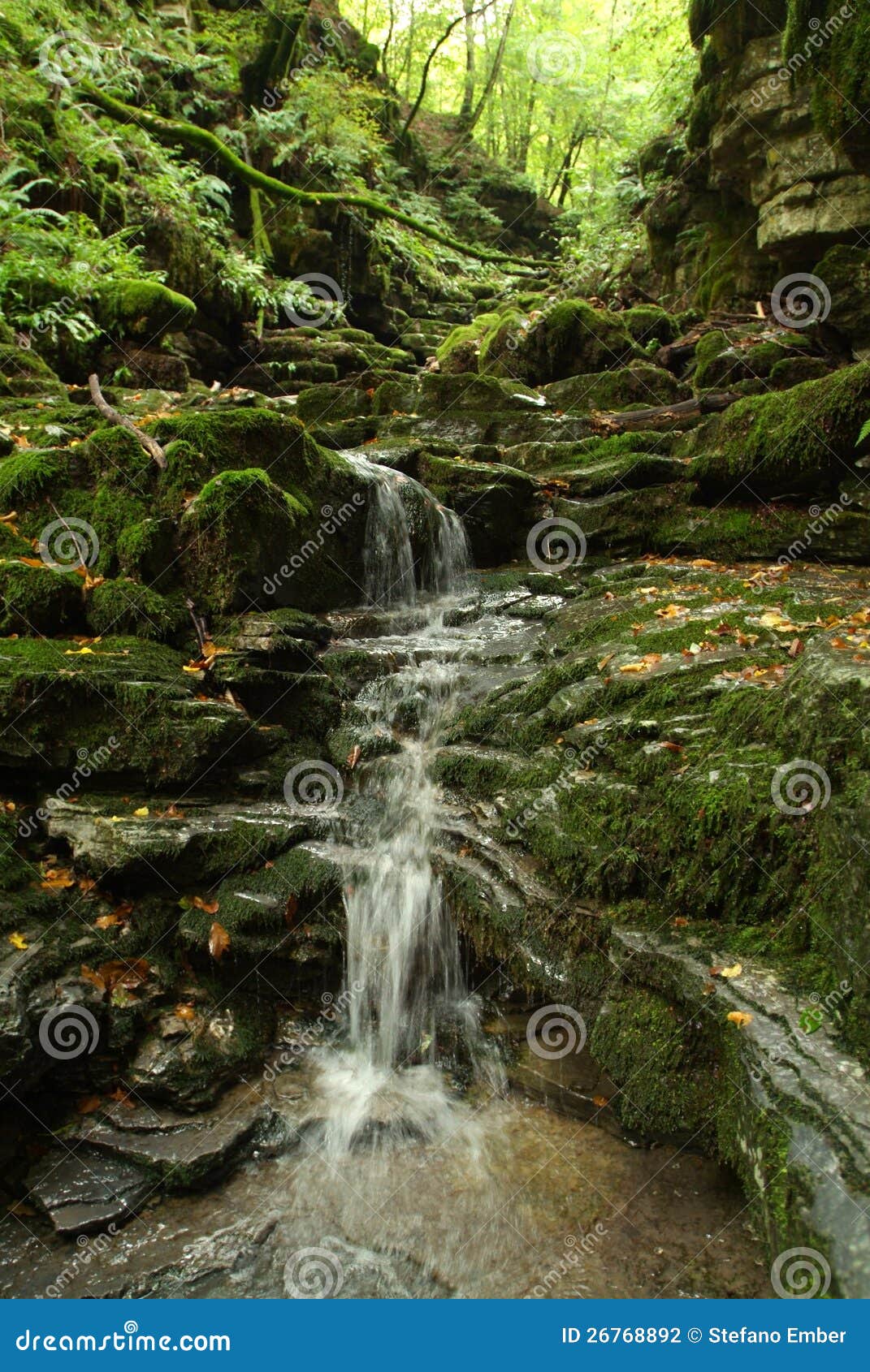 River at the Valley of Muggio Stock Photo - Image of breggia, ticino ...