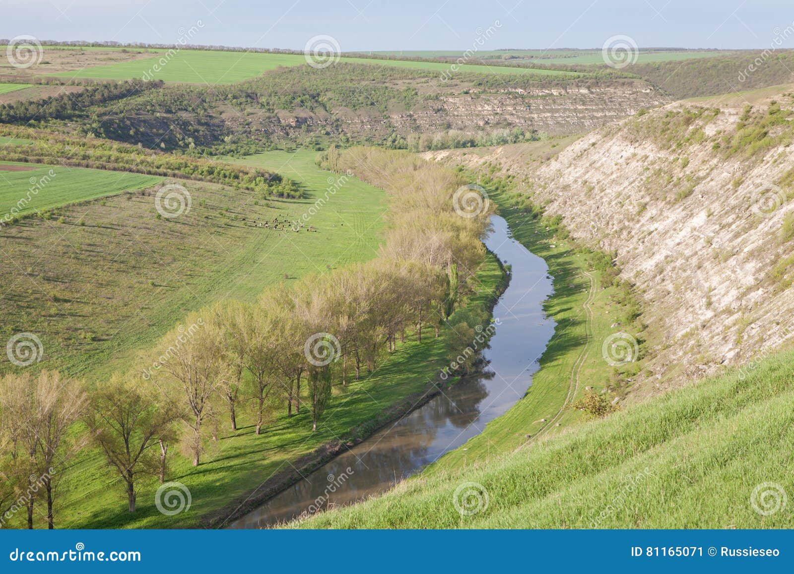River in valley stock image. Image of riverside, countryside - 81165071