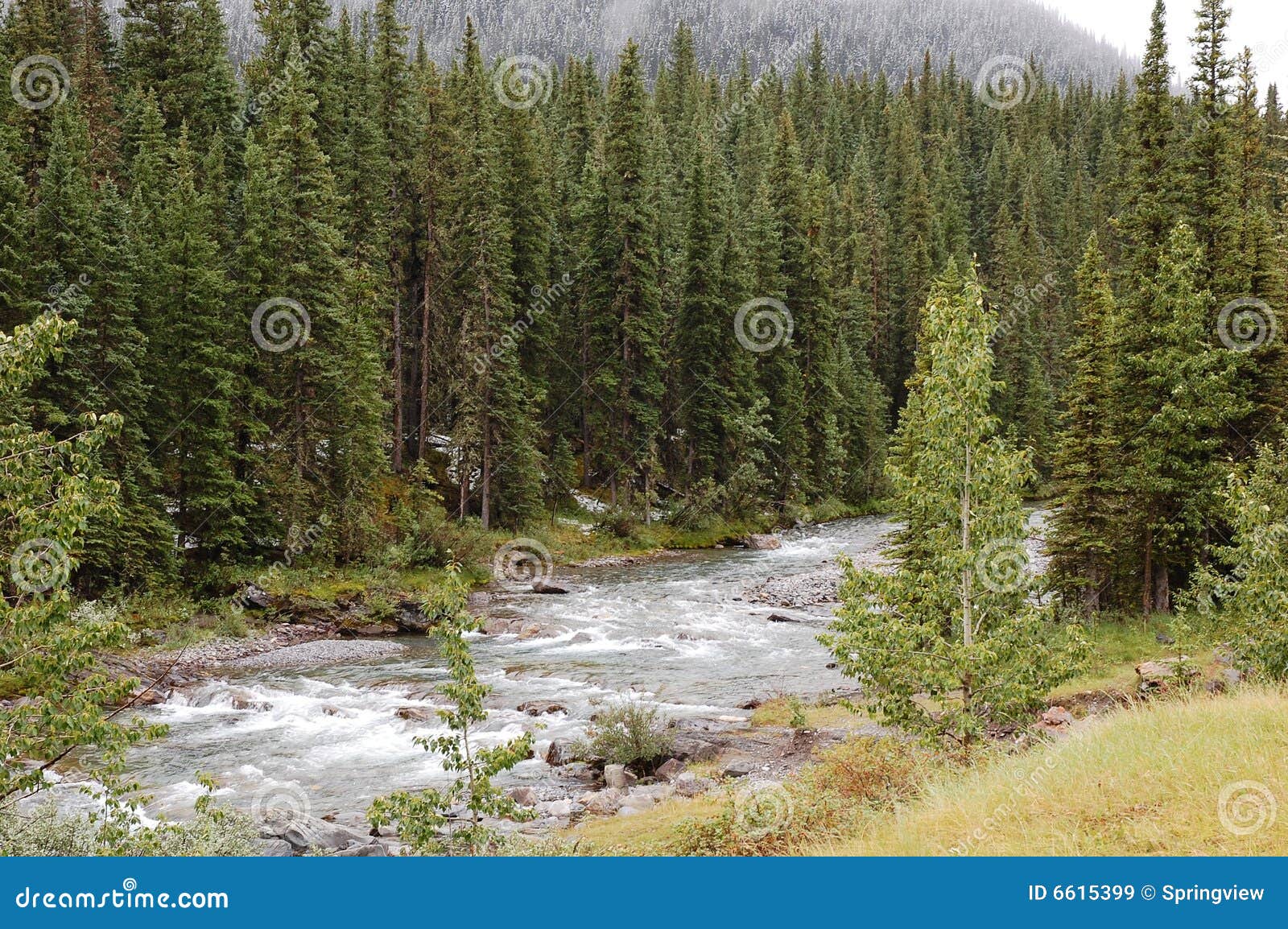 River valley in rain stock image. Image of nature, lookout - 6615399