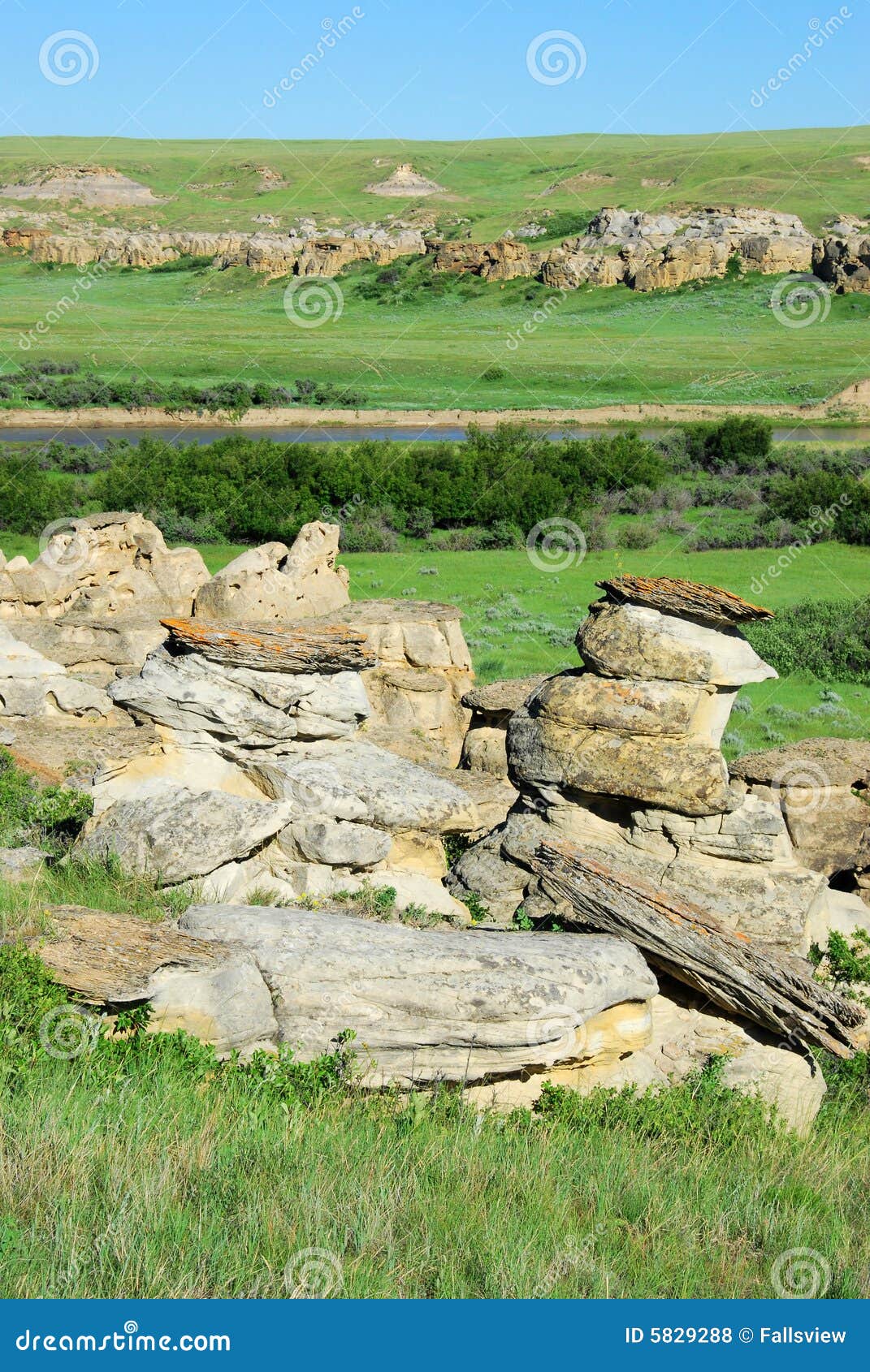 River Valley and Sandstone Field Stock Photo - Image of alberta ...
