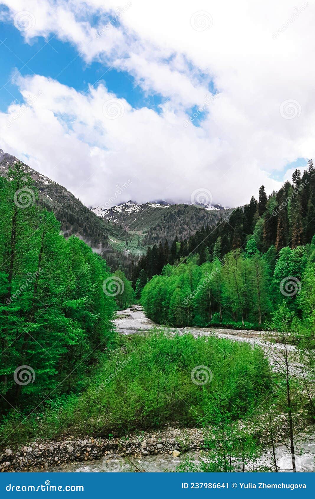 River Valley Spring in the Mountains. Green Vegetation Stock Image ...