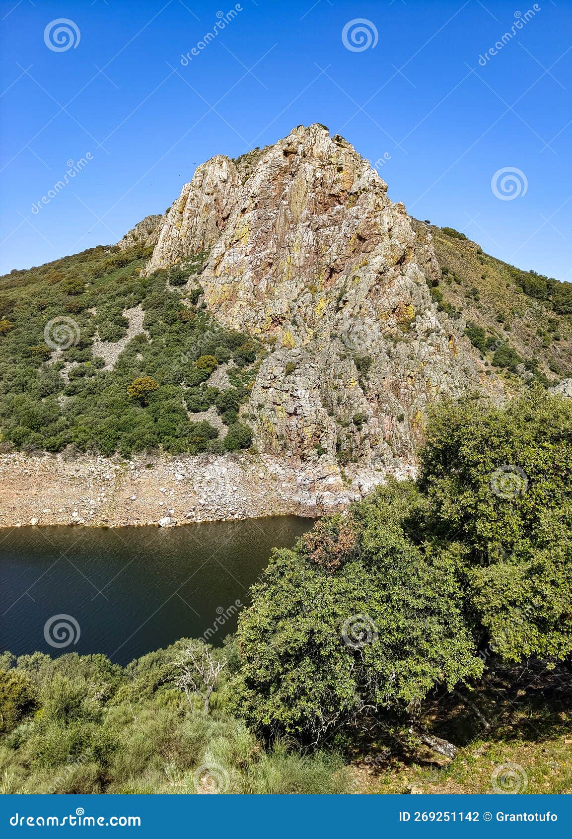 River in the valley stock photo. Image of birdwatching - 269251142