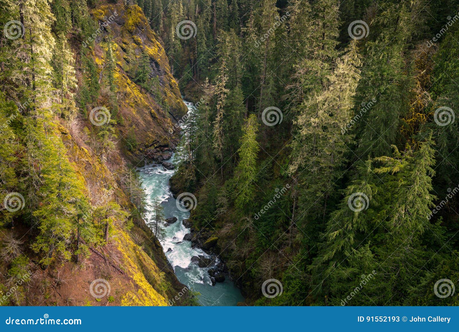 River Valley stock image. Image of tree, stream, evergreen - 91552193