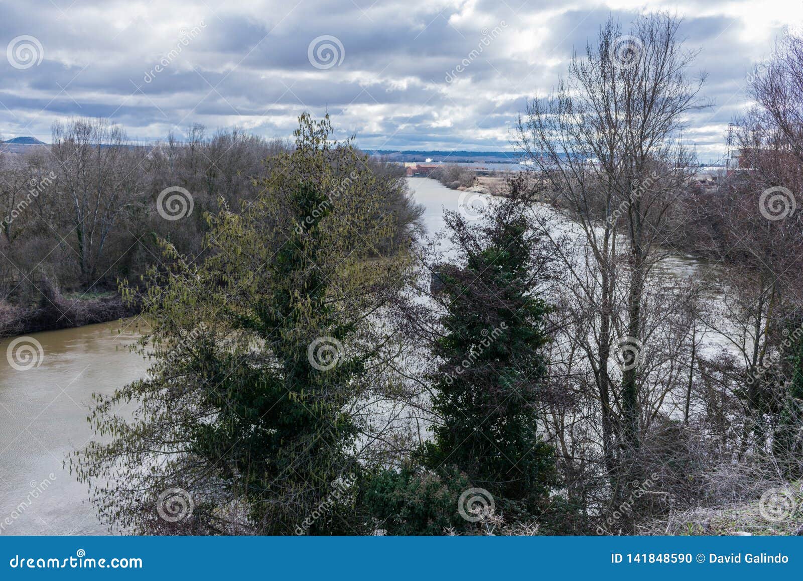 River with Vegetation on the River Bank Stock Photo - Image of canal ...