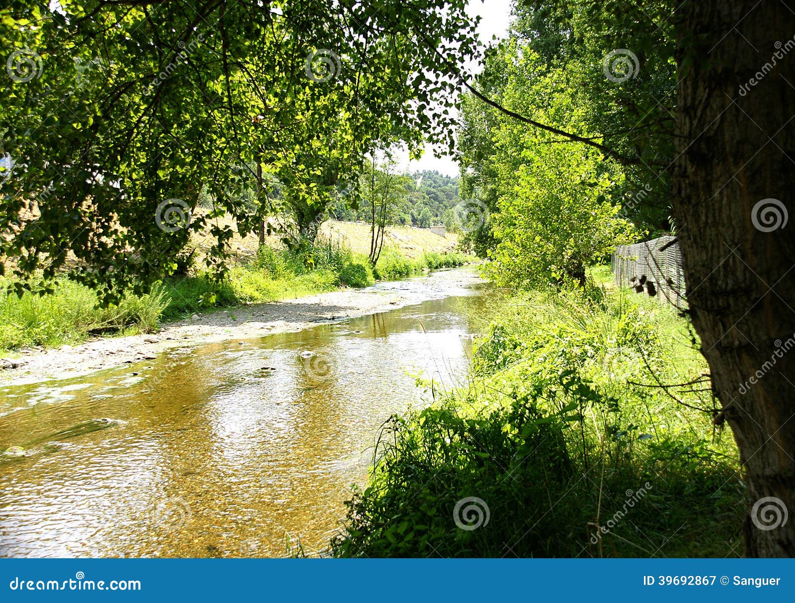 River between vegetation stock image. Image of fields - 39692867