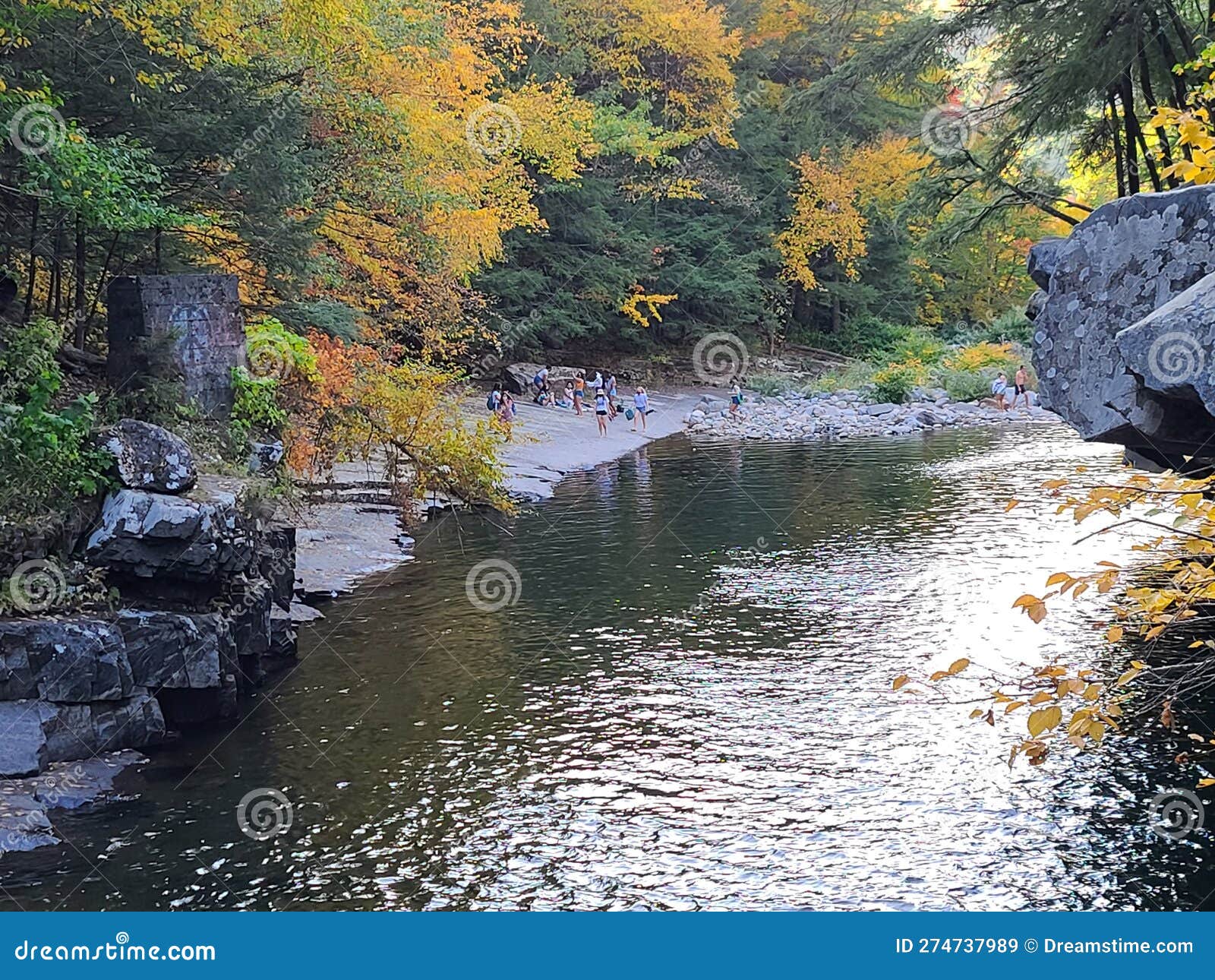 River in Vermont nice view stock image. Image of trees - 274737989