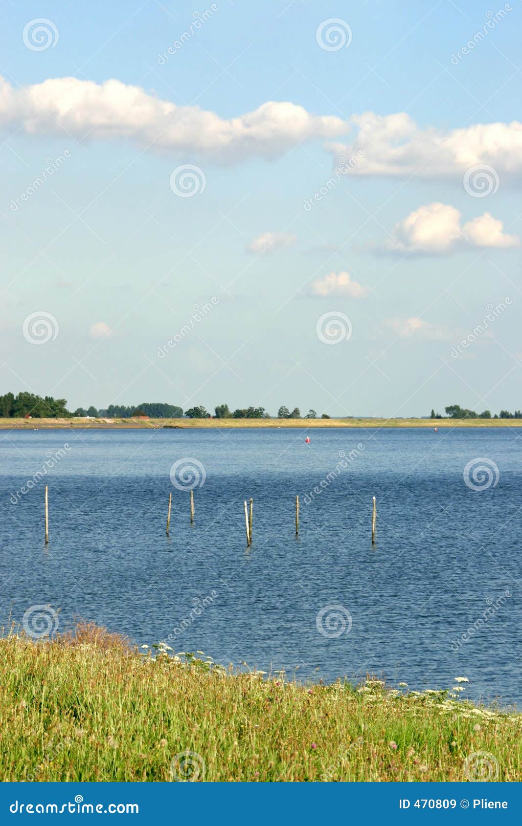 River View stock image. Image of quiet, feeling, view, relax - 470809