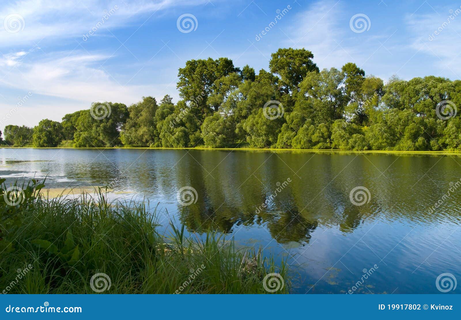 River view with blue sky stock photo. Image of grass - 19917802