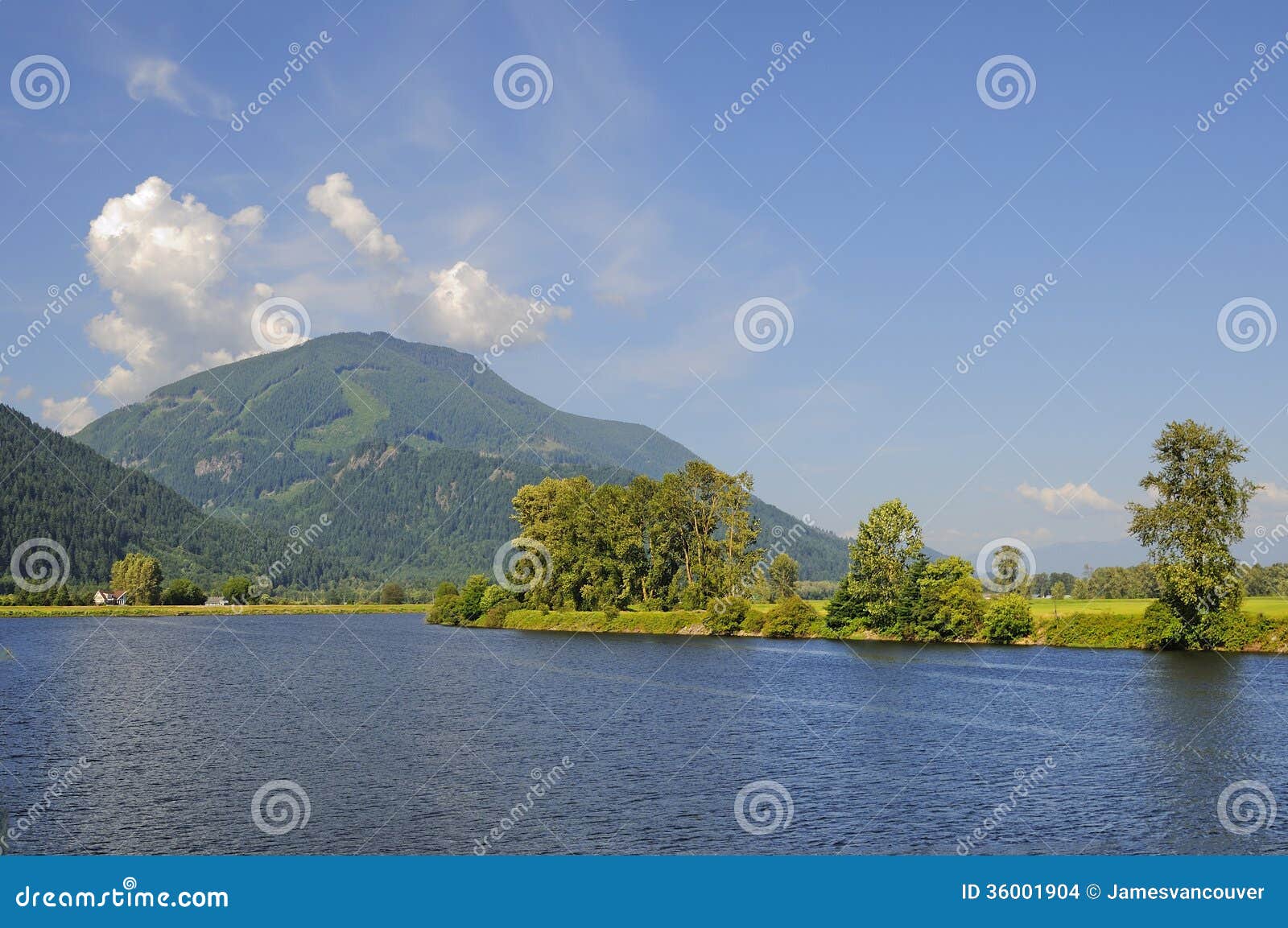 River View in the Countryside Stock Photo - Image of afternoon, nature ...