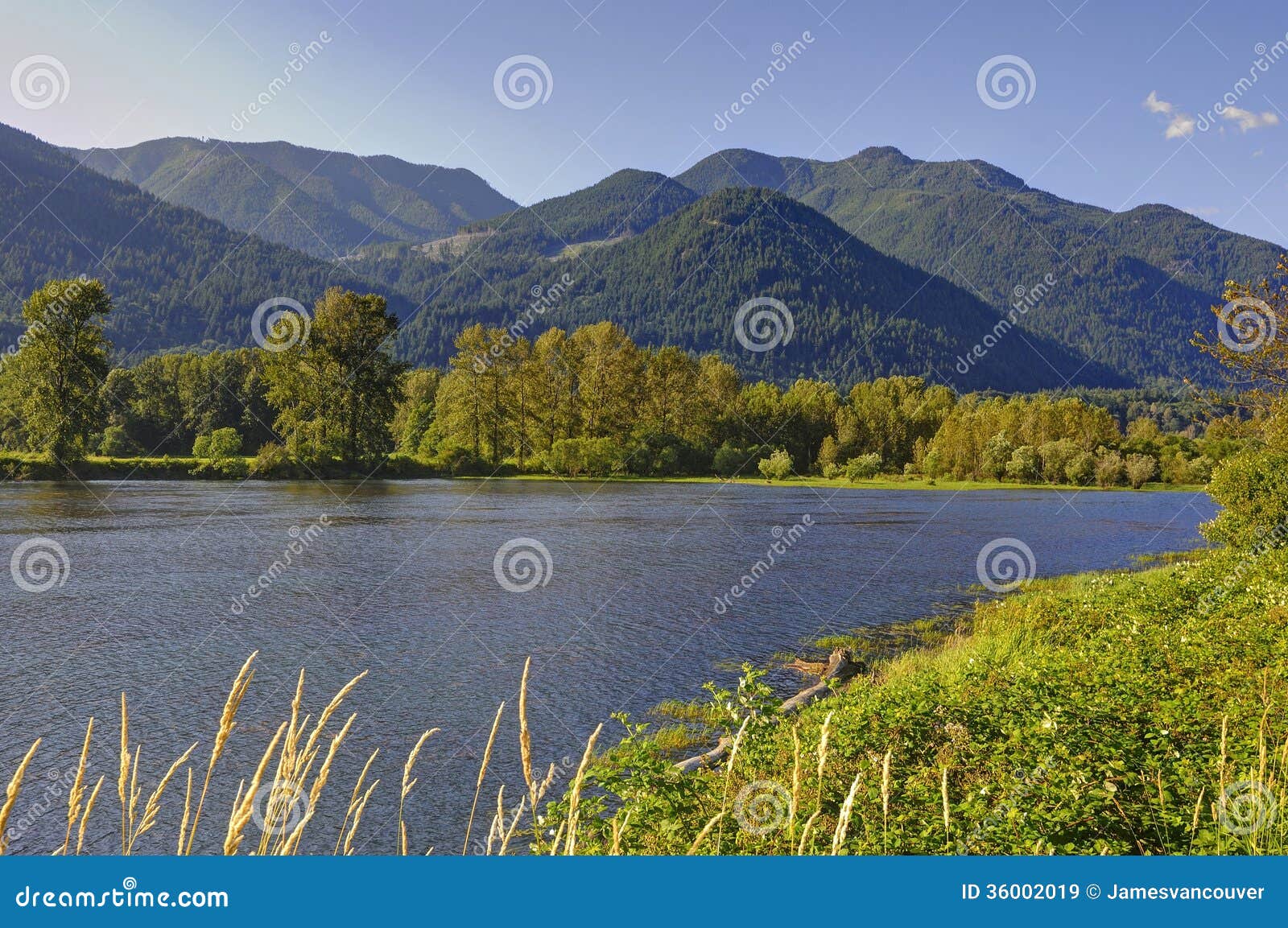 River View in the Countryside Stock Image - Image of grass, meadow ...