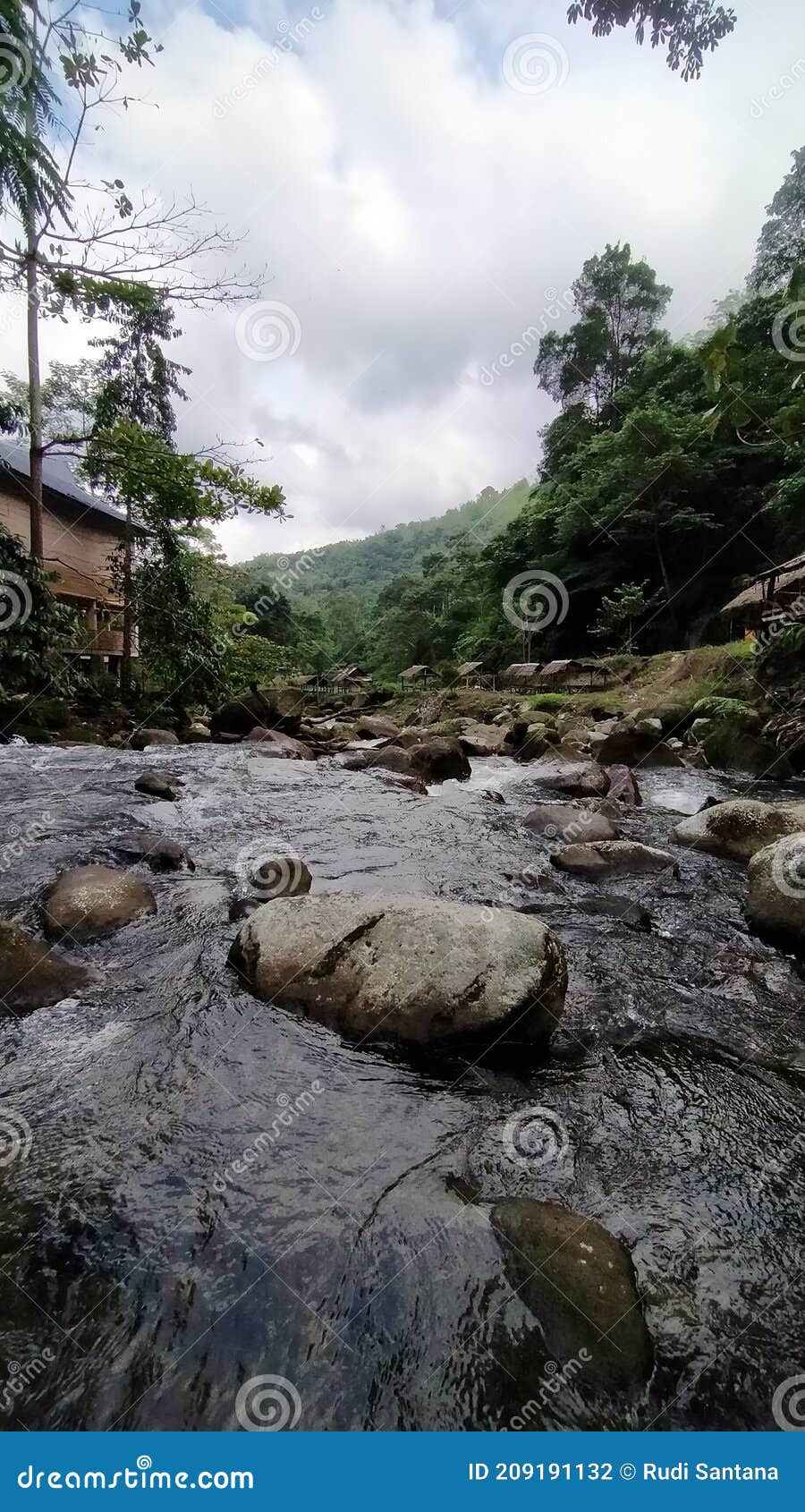 River view in junggle stock photo. Image of forest, water - 209191132