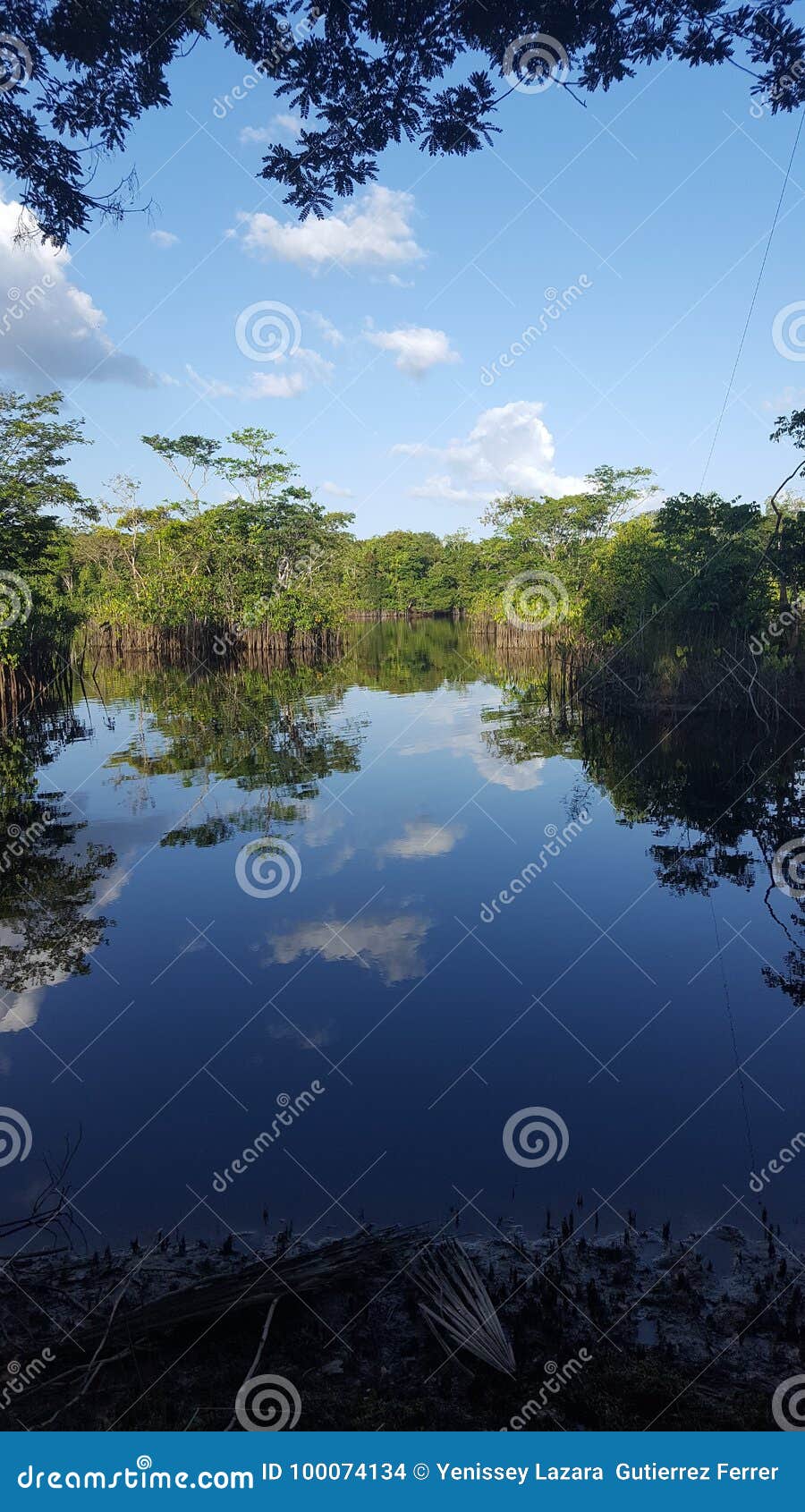 River view stock photo. Image of parabello, suriname - 100074134