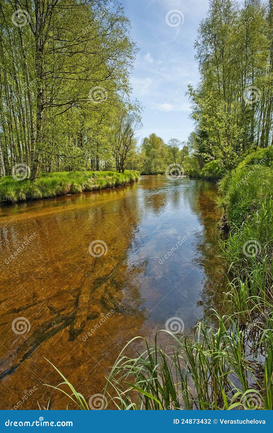 River Vltava in the National Park Sumava, Europe Stock Photo - Image of ...