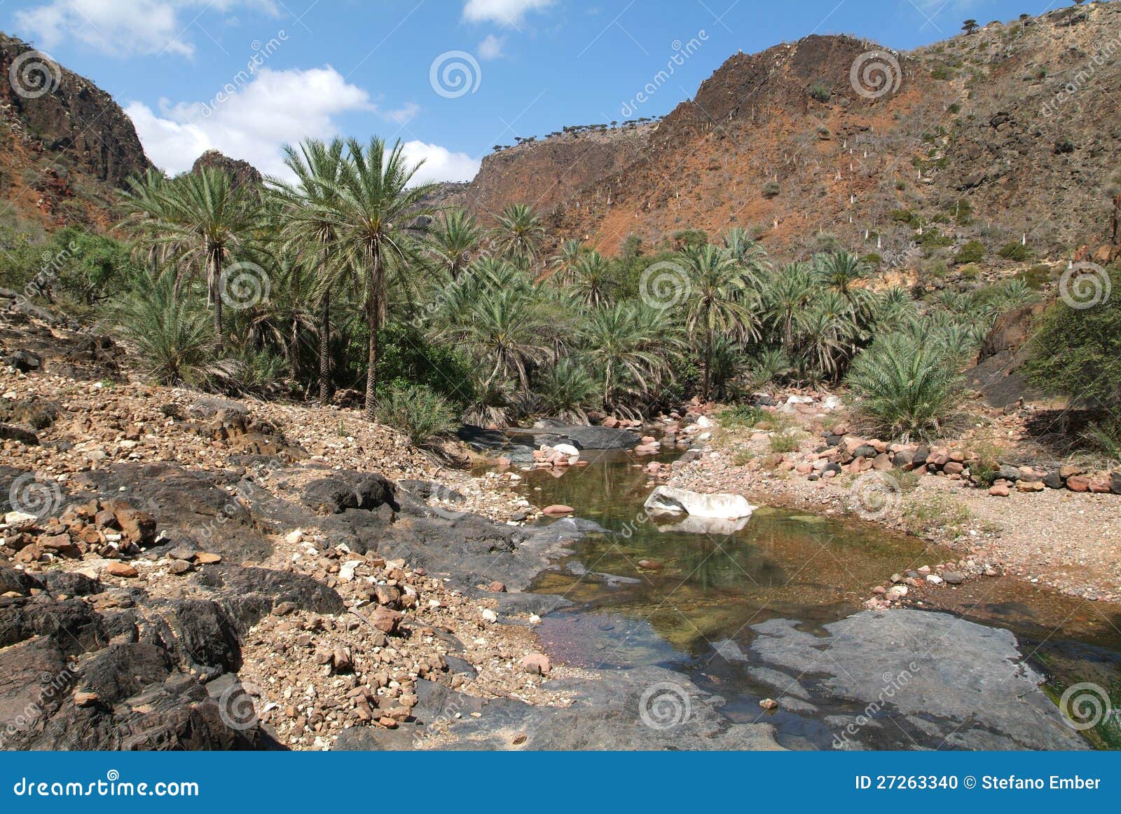 River of Wadi Daerhu at Socotra Island Stock Photo - Image of wadi ...