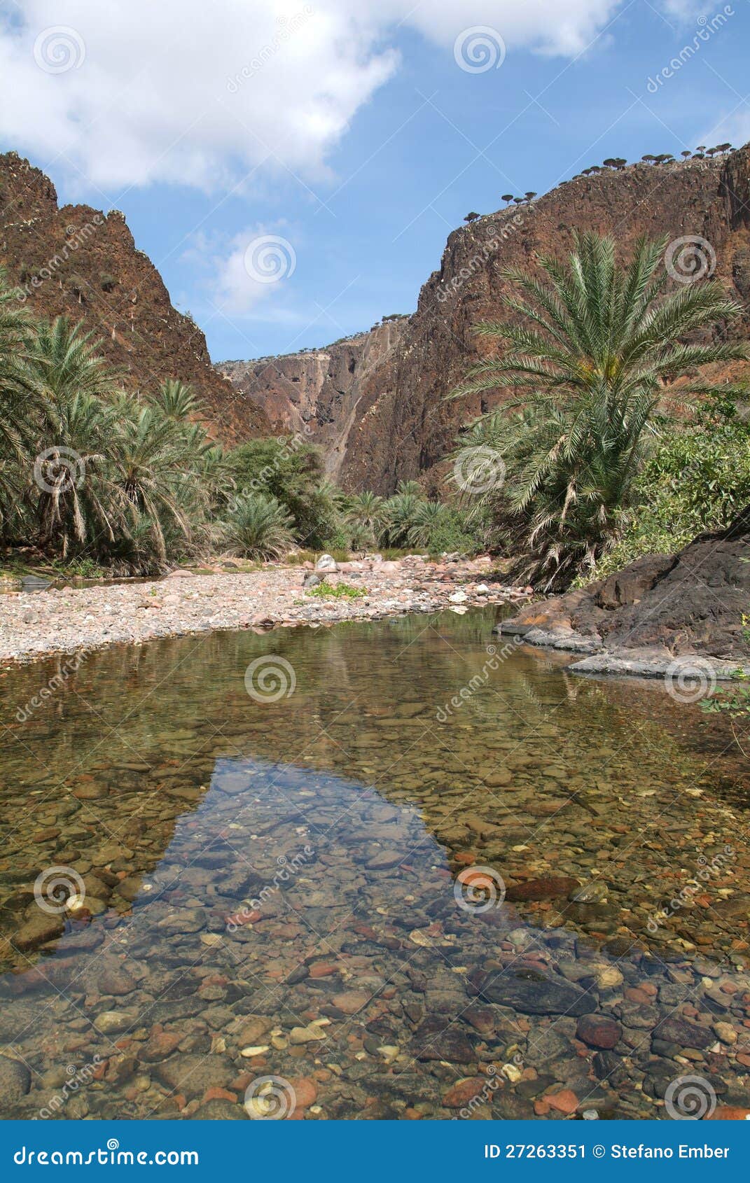 River of Wadi Daerhu at Socotra Island Stock Image - Image of socotra ...