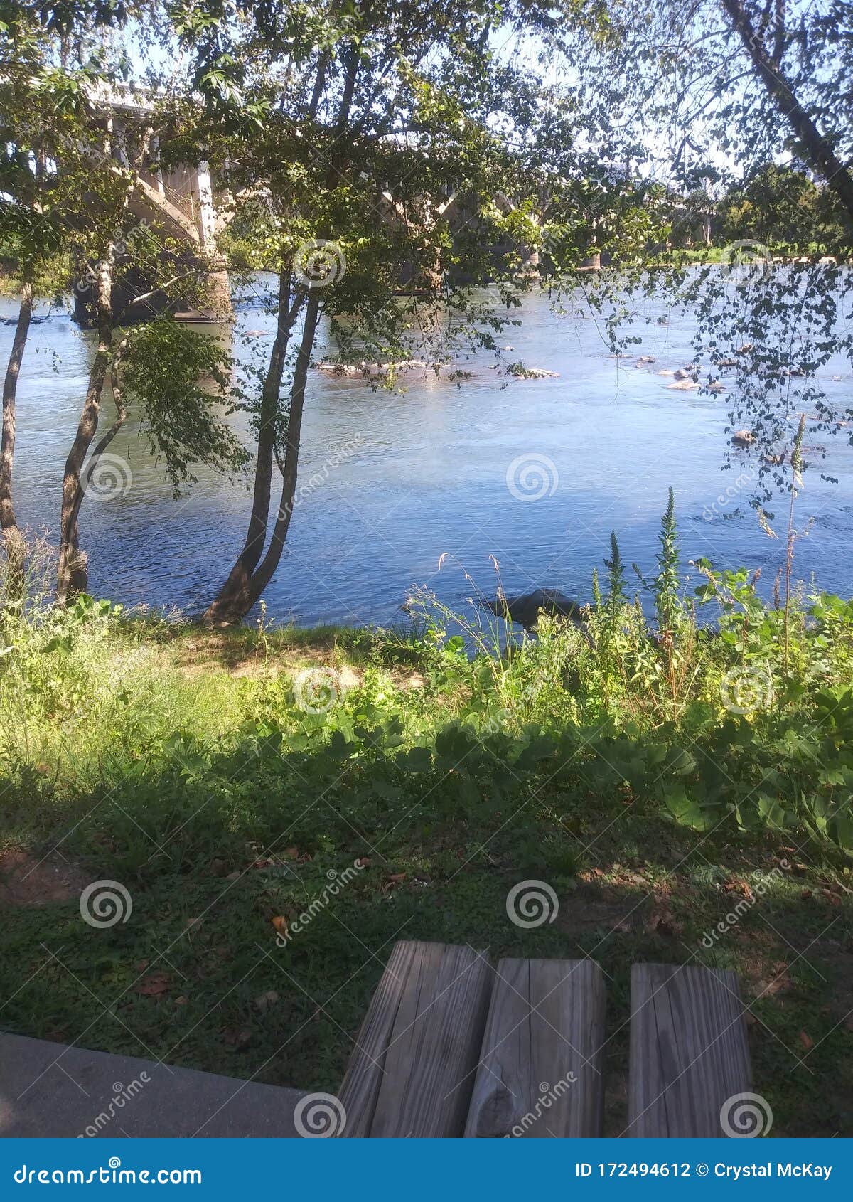 River walk view stock photo. Image of view, grass, bridge - 172494612