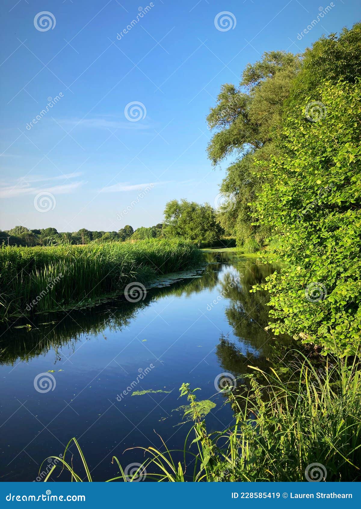 River stock image. Image of walking, gipping, river - 228585419