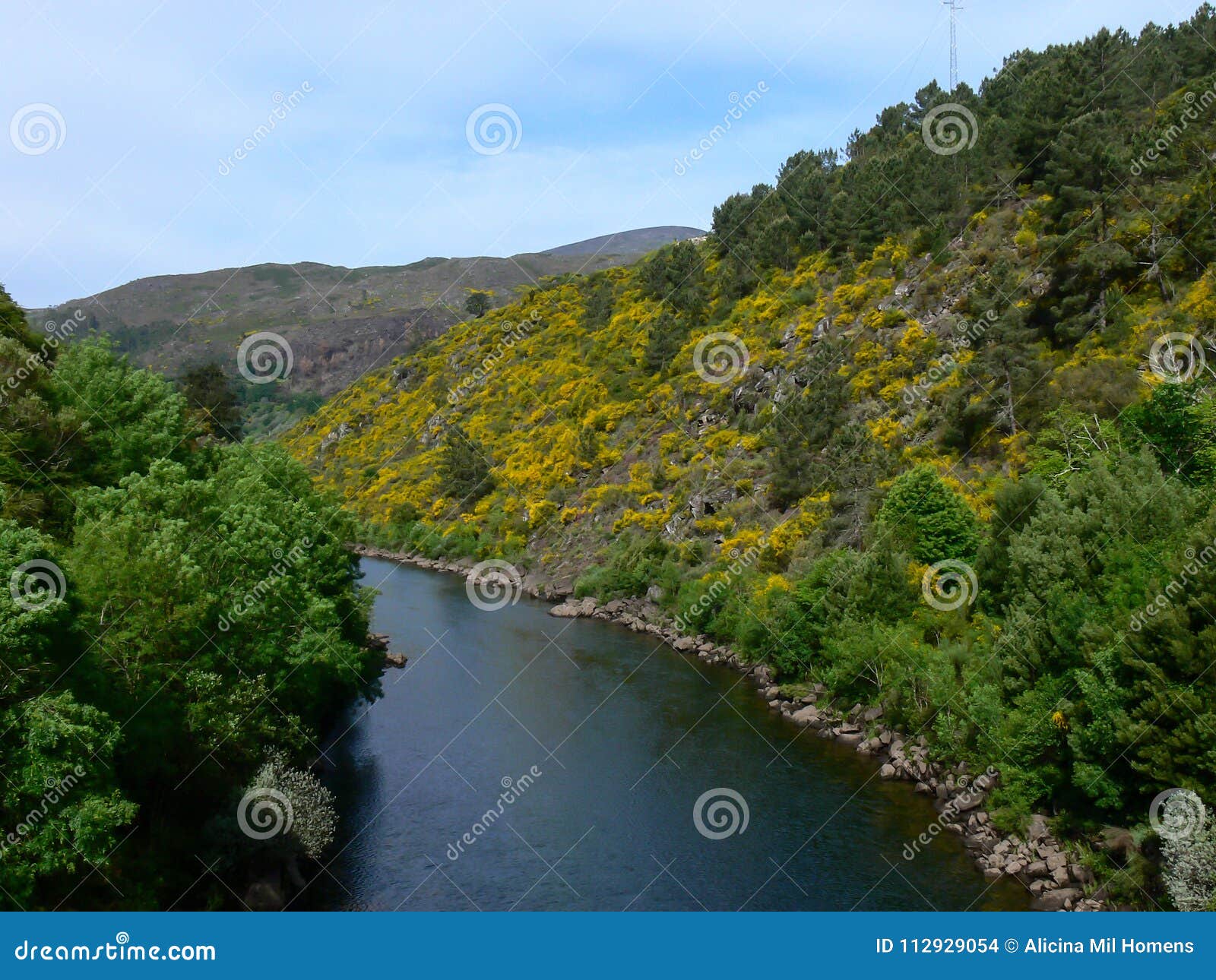 A river is a water course stock photo. Image of natural - 112929054