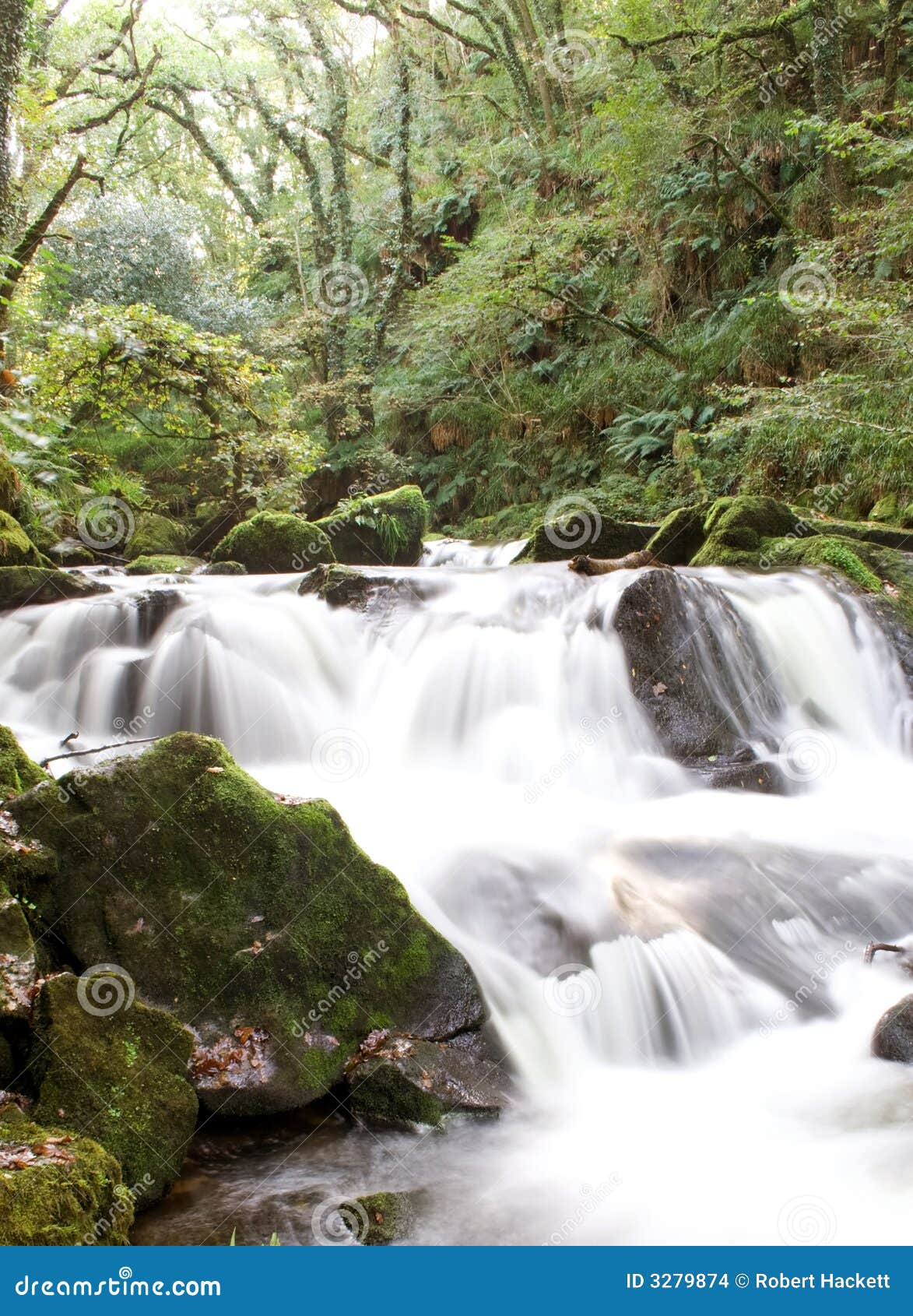 River water fall stock photo. Image of rocks, stream, grass - 3279874