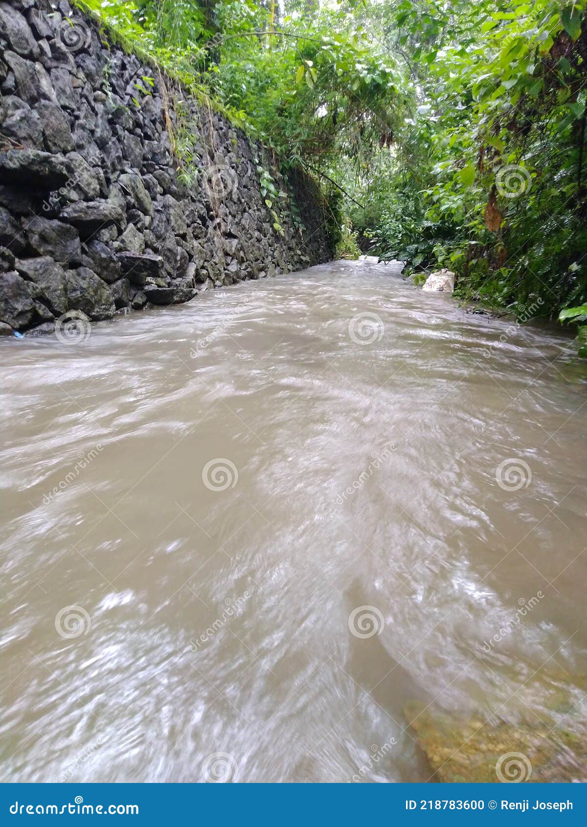 River Water Flow with Plants Stock Photo - Image of view, outdoor ...