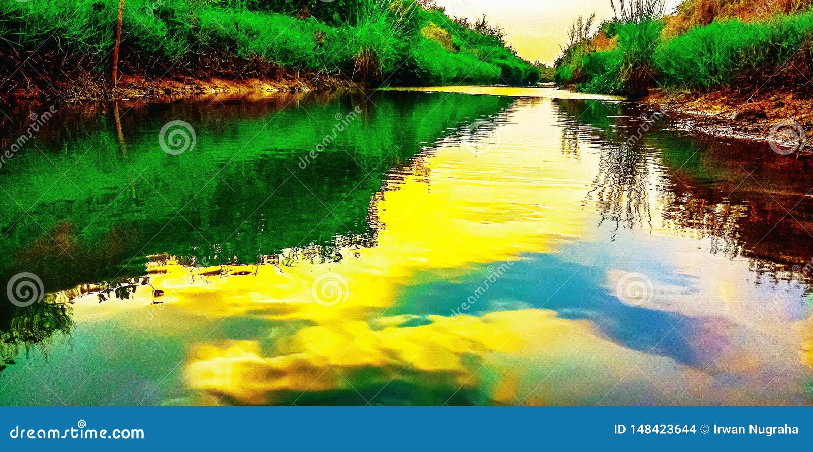 River Water Flow with Visible Grass and Sunlight Stock Photo - Image of ...