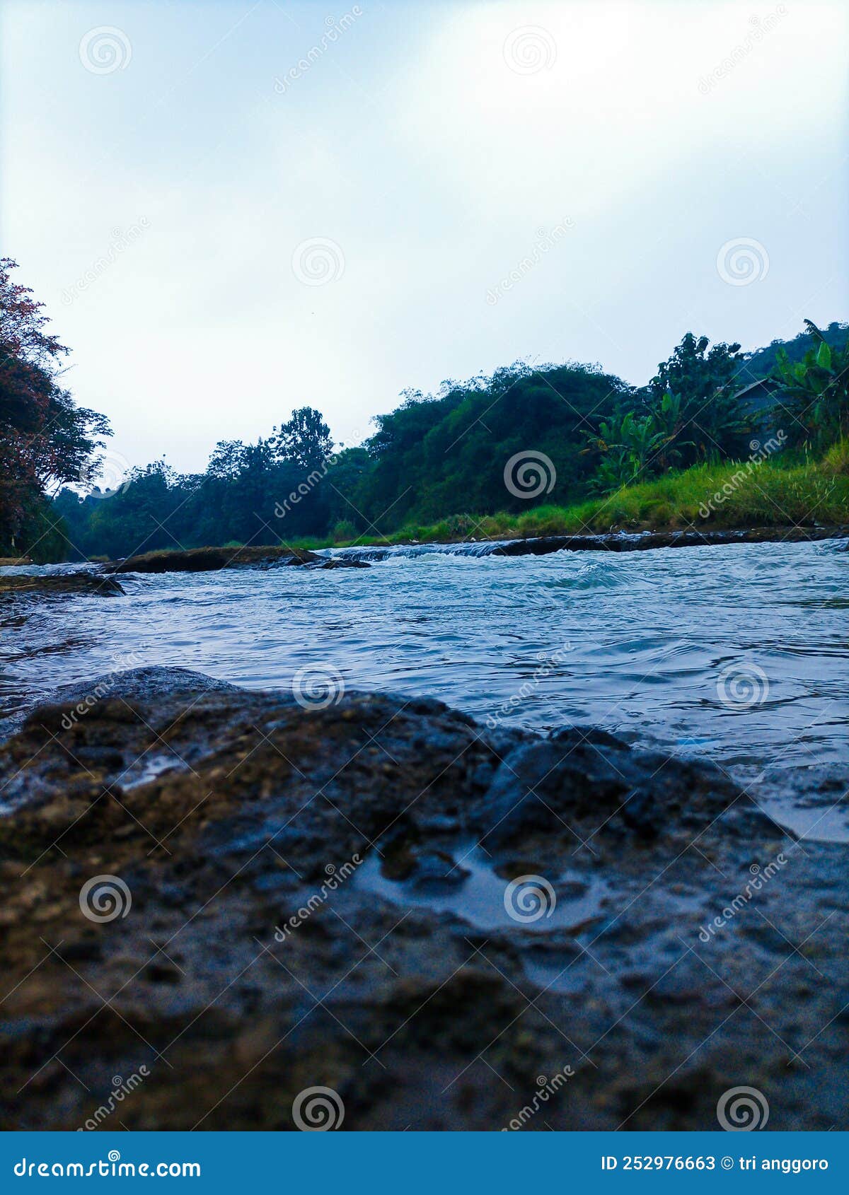 River Water Flowing Downstream Stock Image - Image of shore, landscape ...