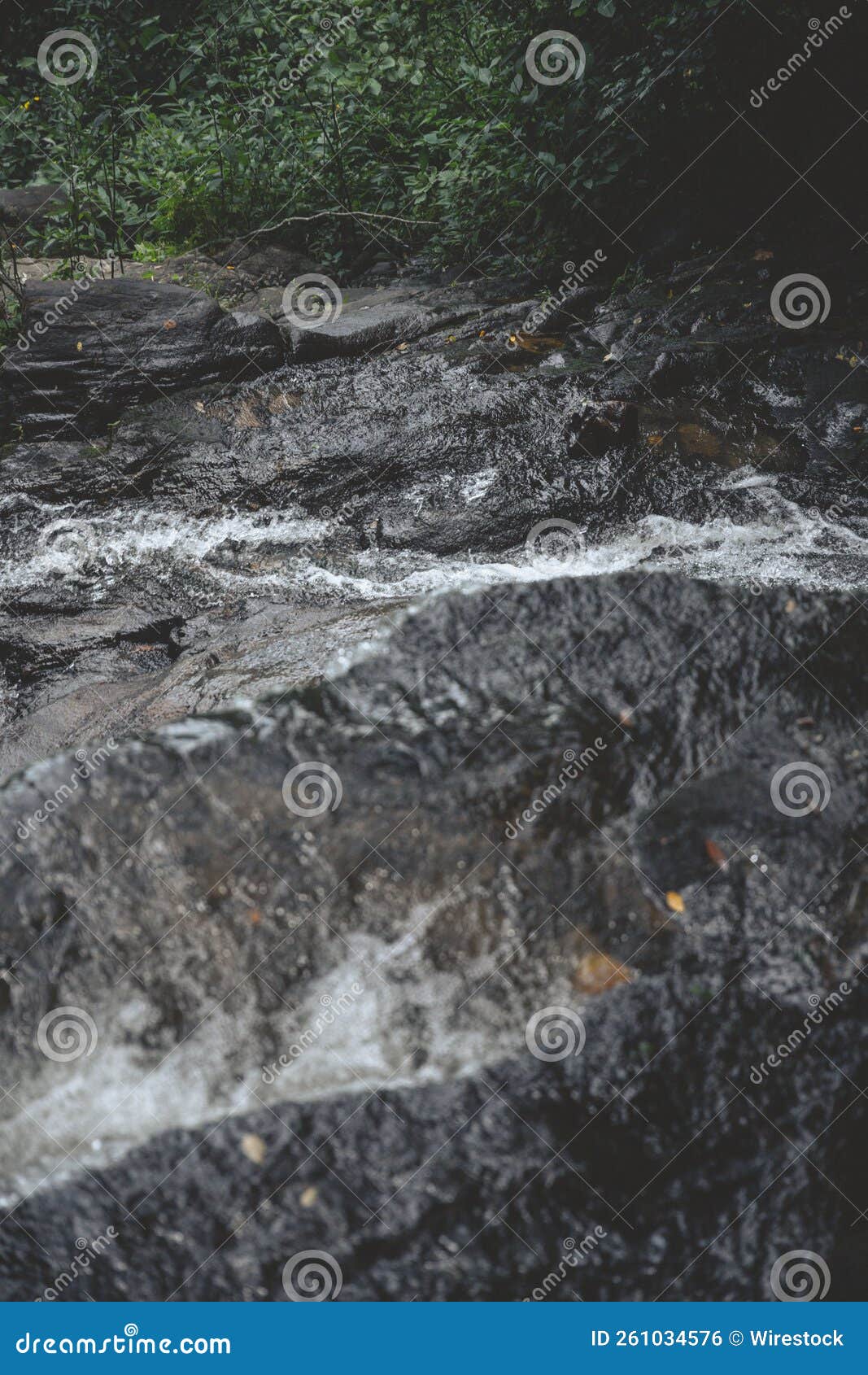 River Water Flowing on Hug Rocks Stock Photo - Image of river, forest ...