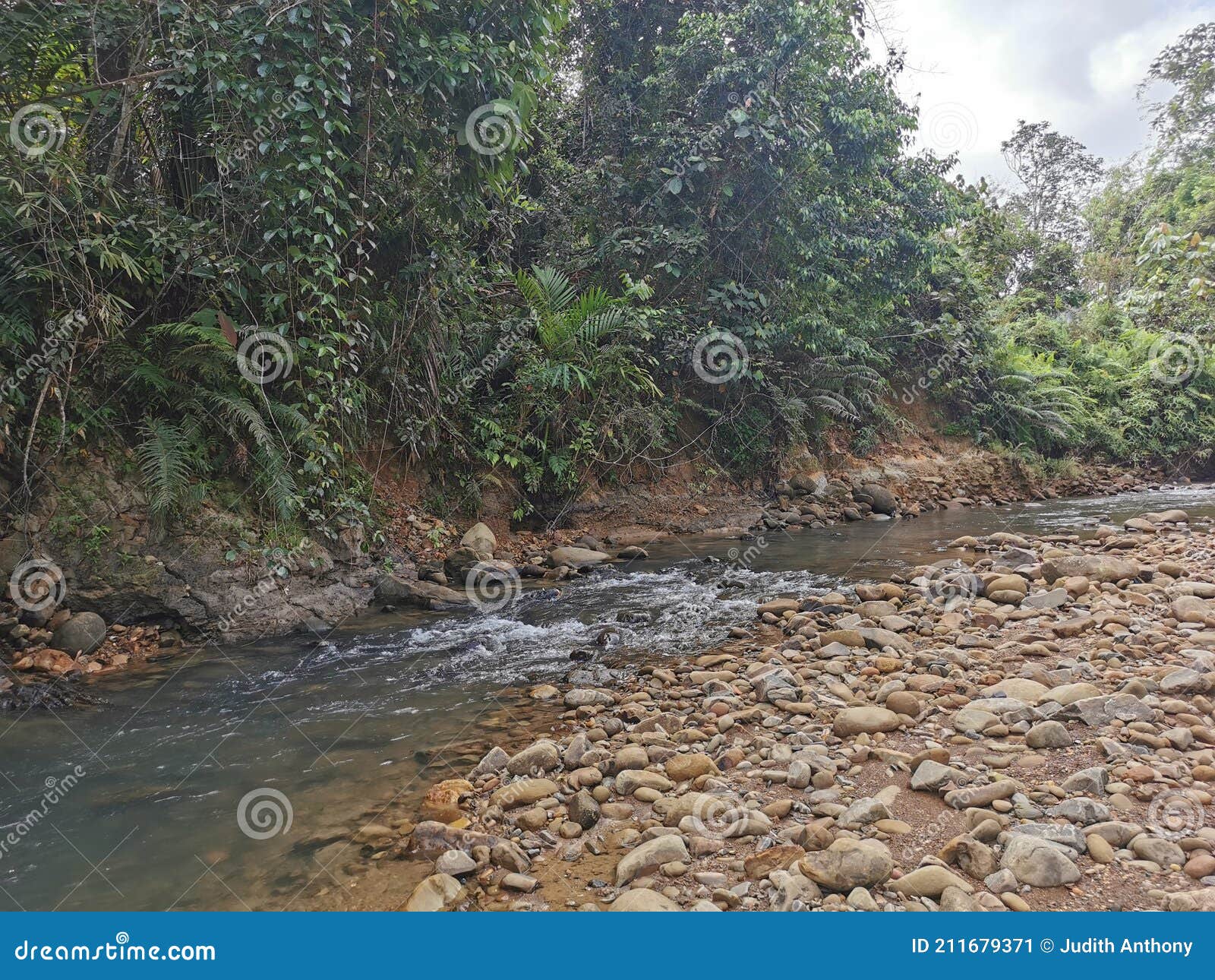 The River Water Flows Calmly on the Edge of the Rock. Stock Image ...