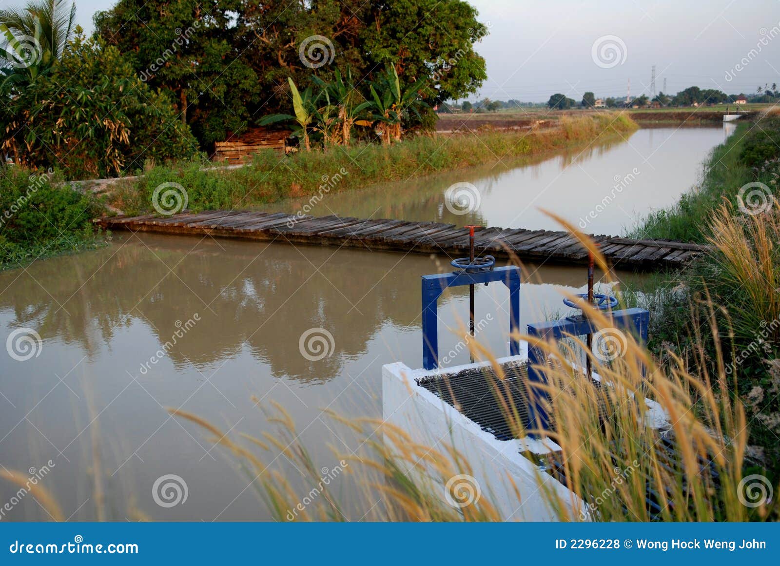 River and water gate stock photo. Image of flowers, fields - 2296228