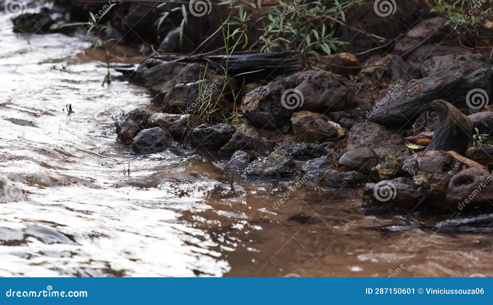 River Water Hitting the Rocks Stock Video - Video of natural, rock ...
