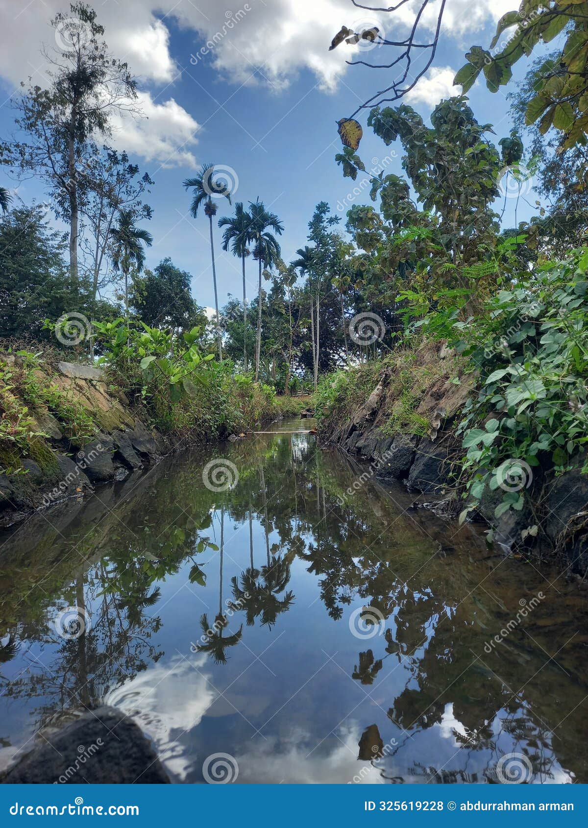 River water and its shadow stock photo. Image of water - 325619228