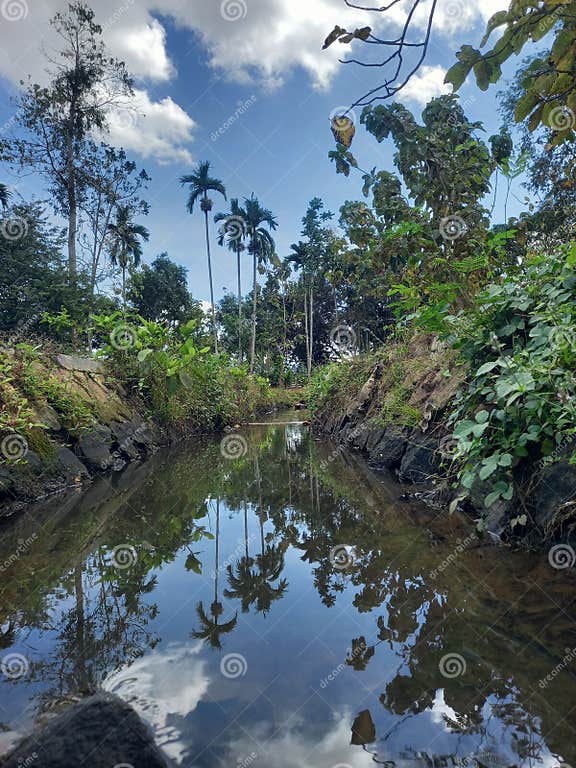 River water and its shadow stock photo. Image of water - 325619228