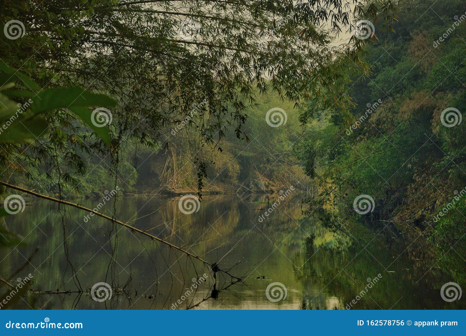 River stock photo. Image of nature, river, landscape - 162578756