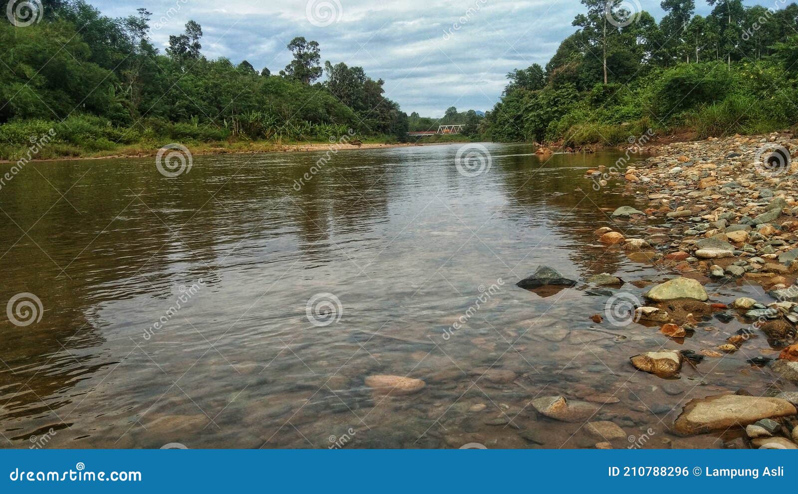 River Water that Looks Clean and Beautiful in the Eyes Stock Photo ...