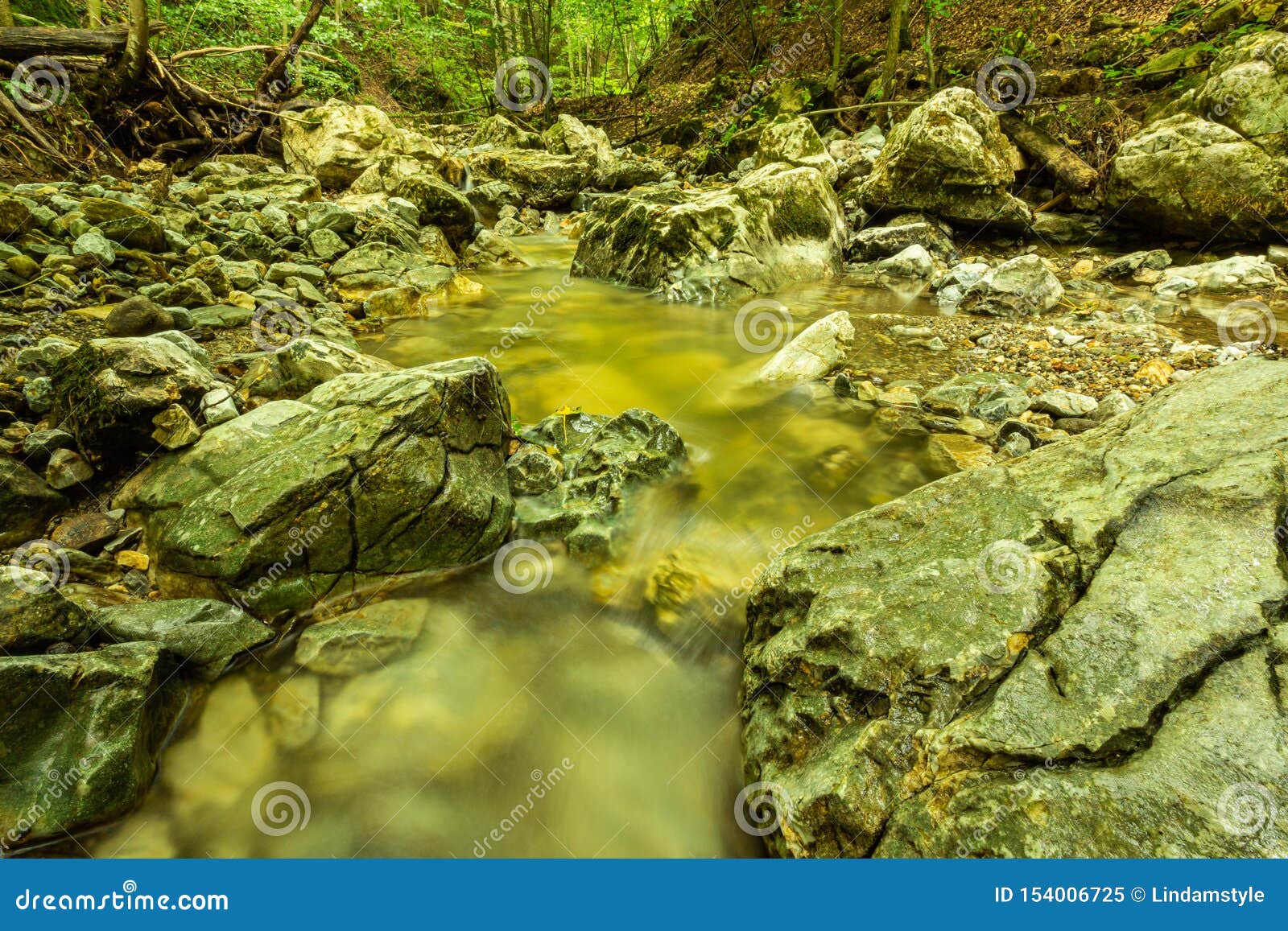 River Water in the Mountain Forest Stock Image - Image of ation, efor ...