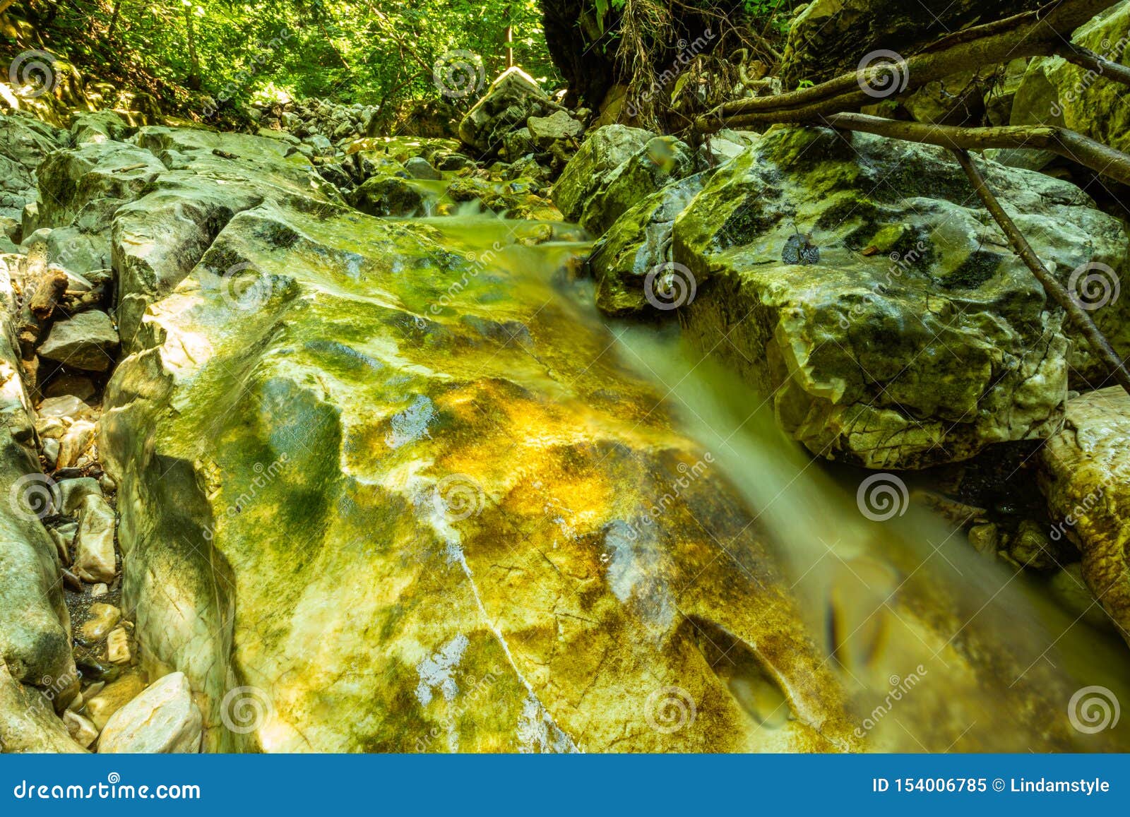 River Water in the Mountain Forest Stock Image - Image of deep ...