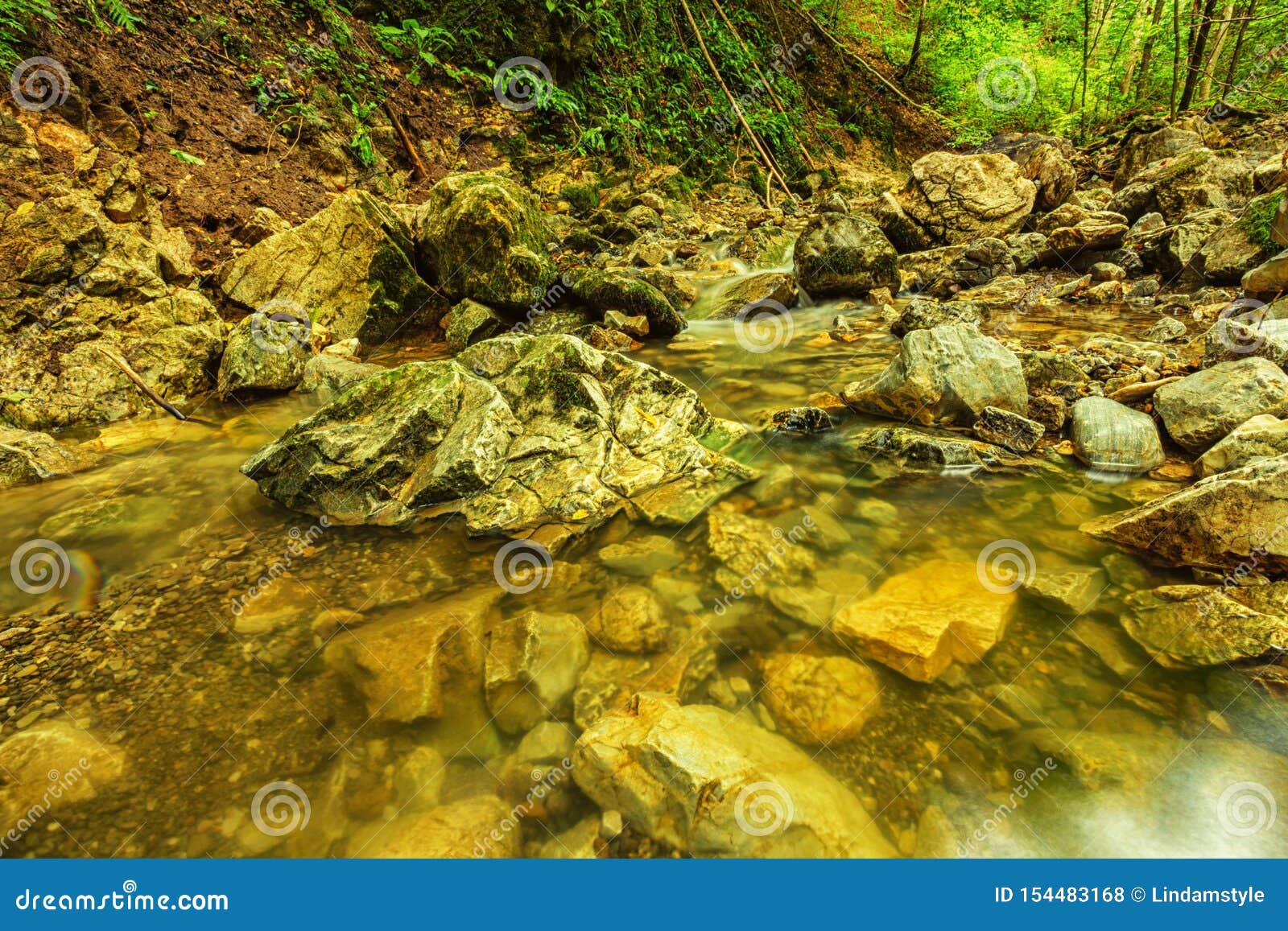 River Water in the Mountain Forest Stock Photo - Image of river, fall ...