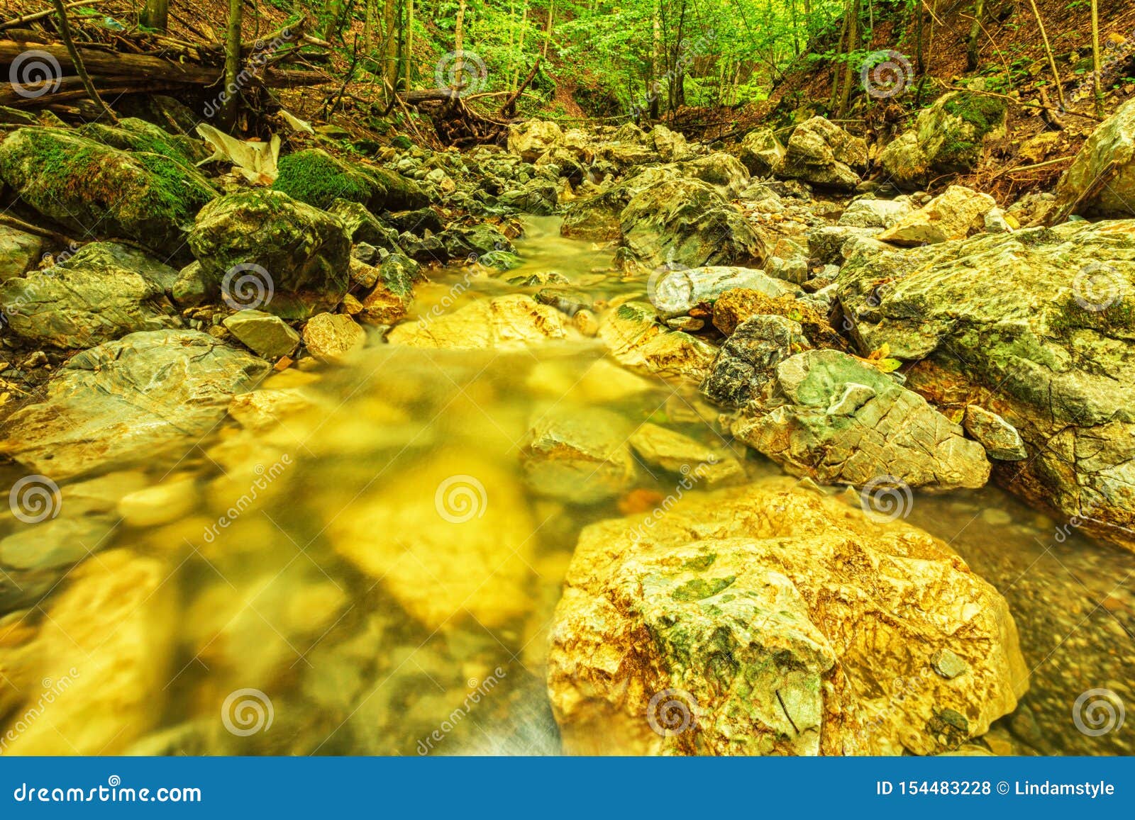 River Water in the Mountain Forest Stock Photo - Image of boulders ...