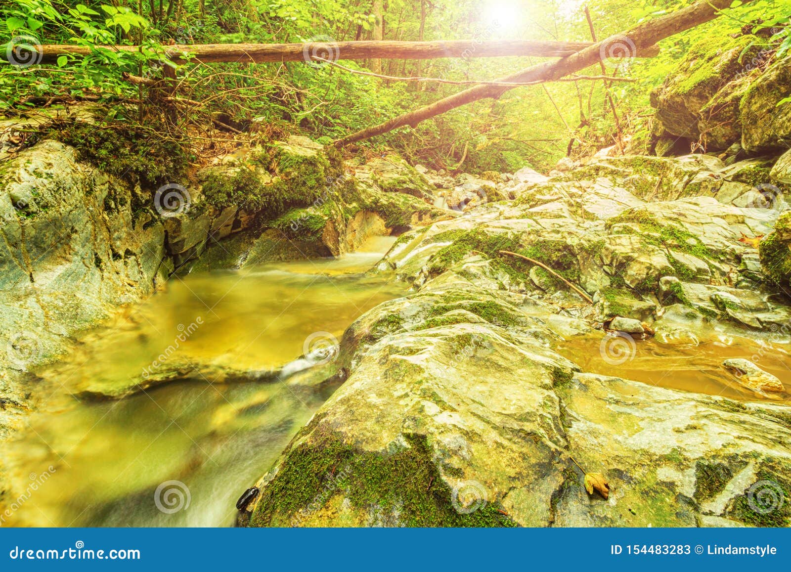 River Water in the Mountain Forest Stock Image - Image of efor, green ...