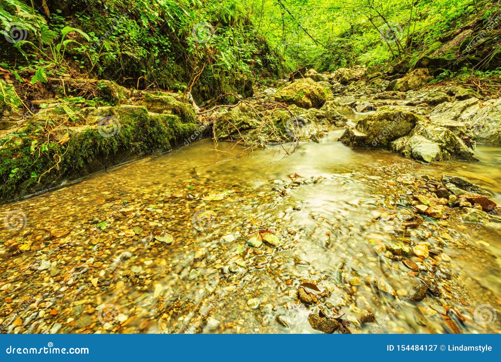 River Water in the Mountain Forest Stock Image - Image of rocks, long ...