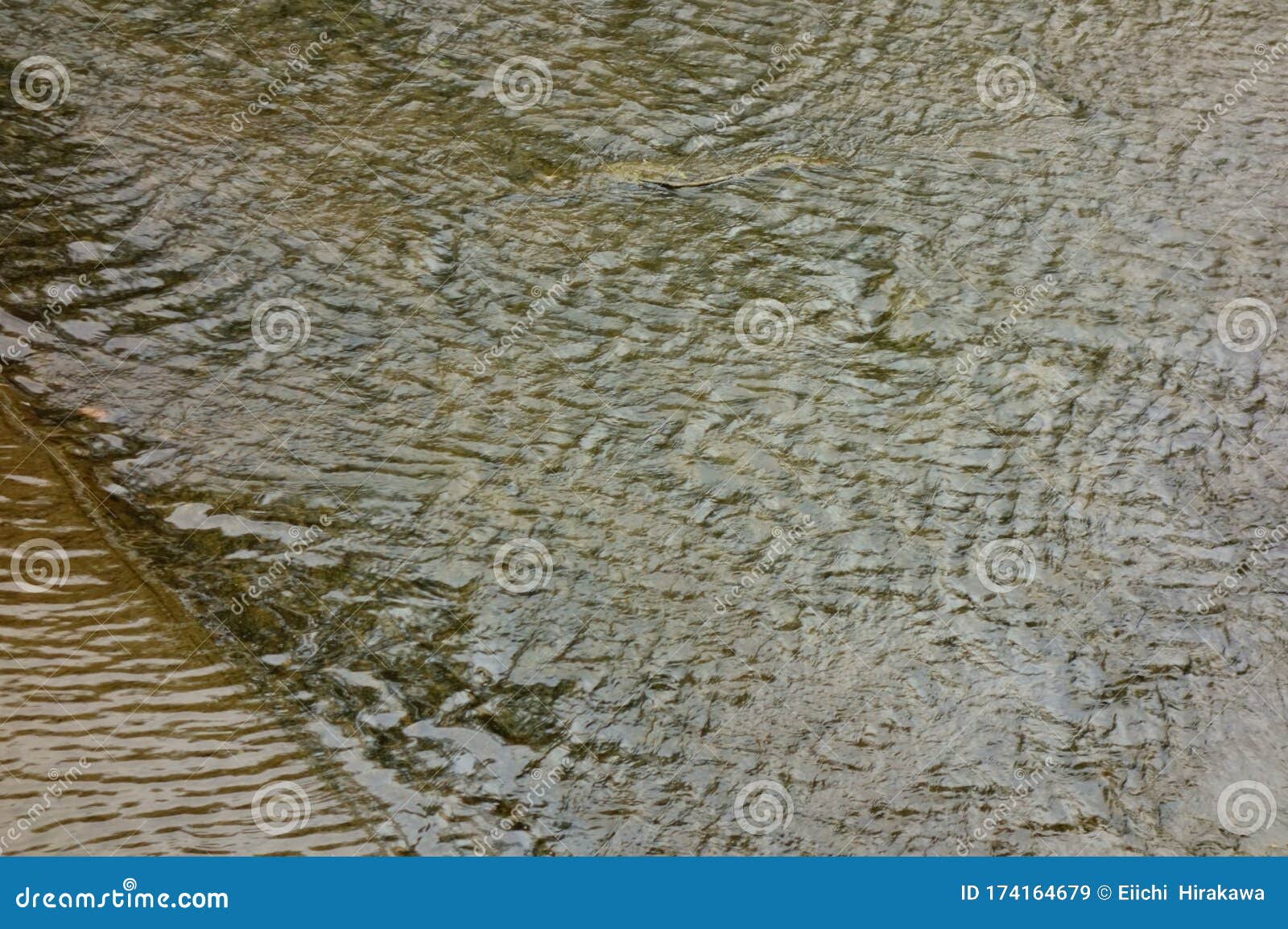 River water pattern stock image. Image of river, mysterious - 174164679