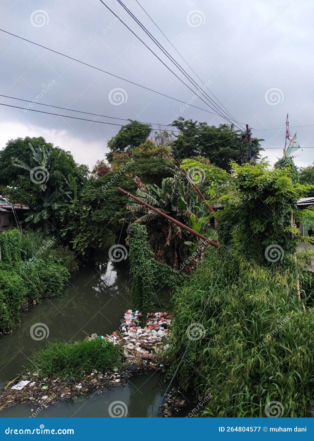 River Water Polluted by Human Waste Stock Image - Image of human, water ...
