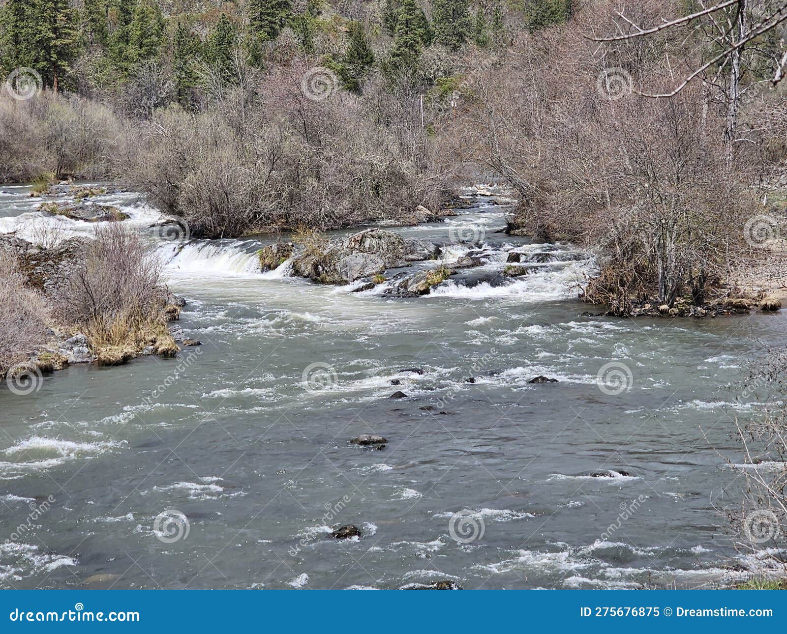 River water rapids stock image. Image of rapids, power - 275676875