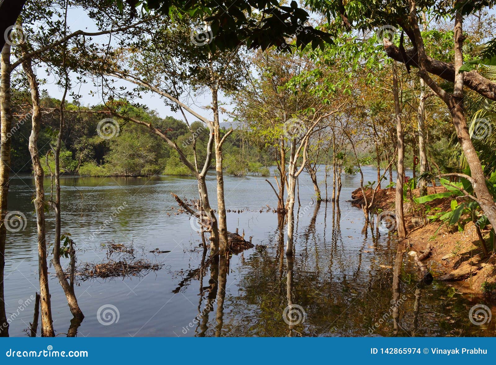 River water reflections stock photo. Image of sunrays - 142865974