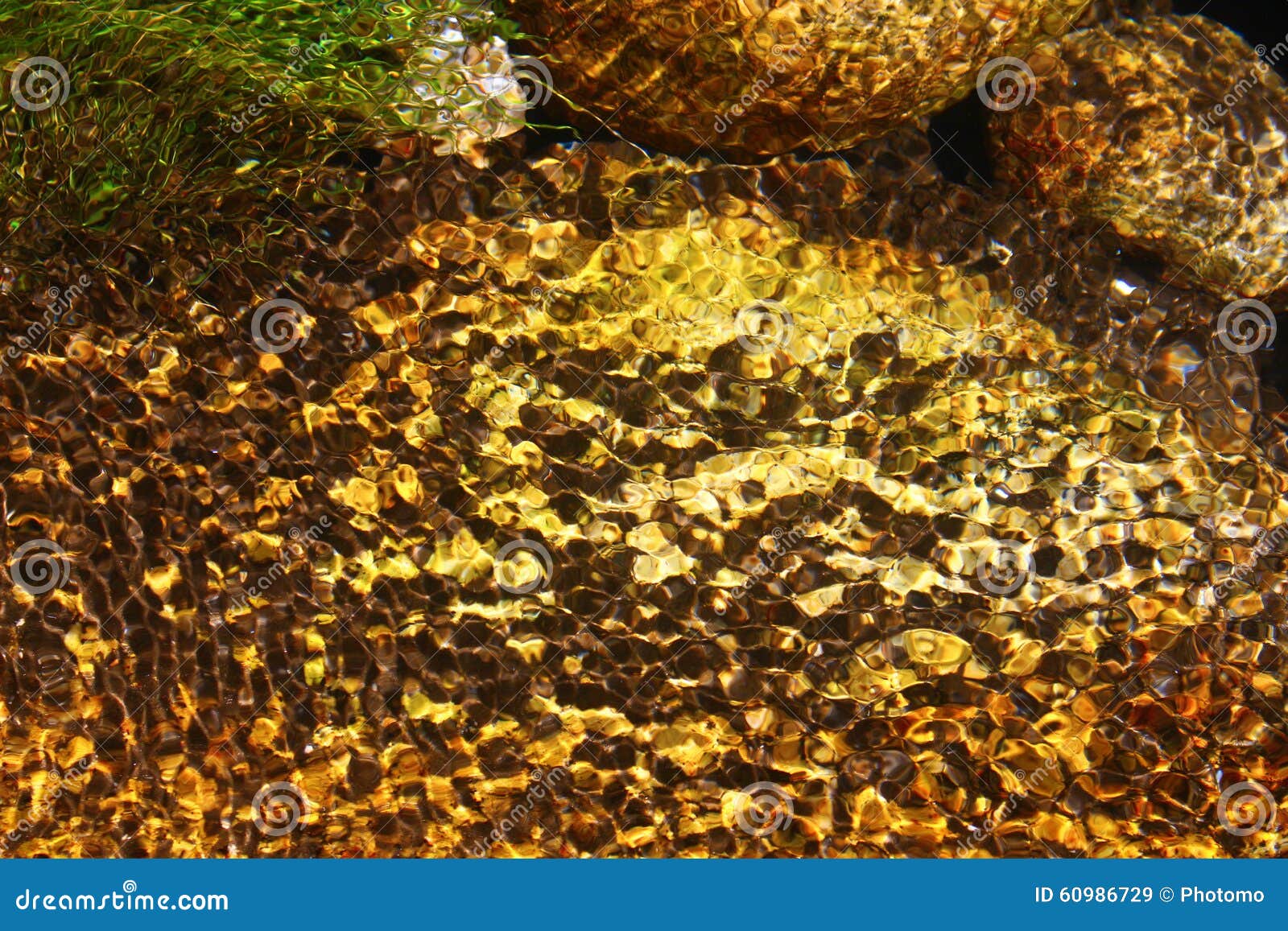 River water refraction stock image. Image of clear, pebble - 60986729