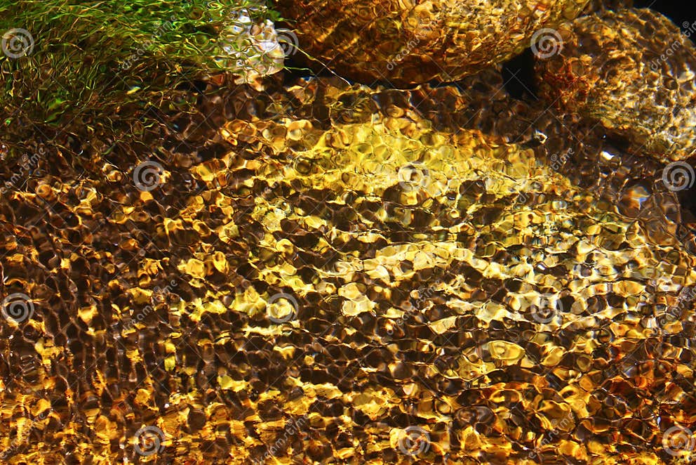 River water refraction stock image. Image of clear, pebble - 60986729