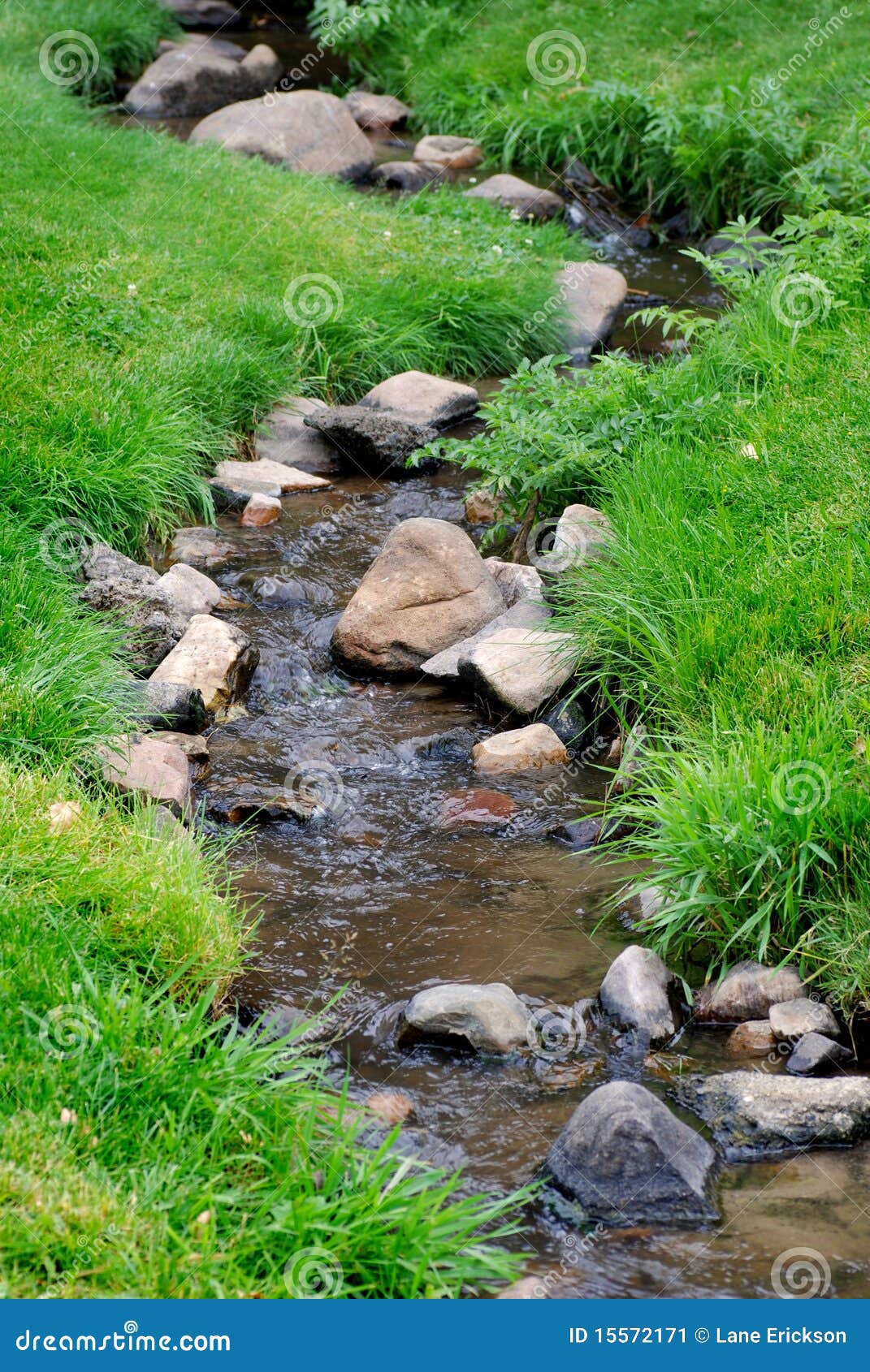 River Water on Rocks stock image. Image of boulders, flowing - 15572171