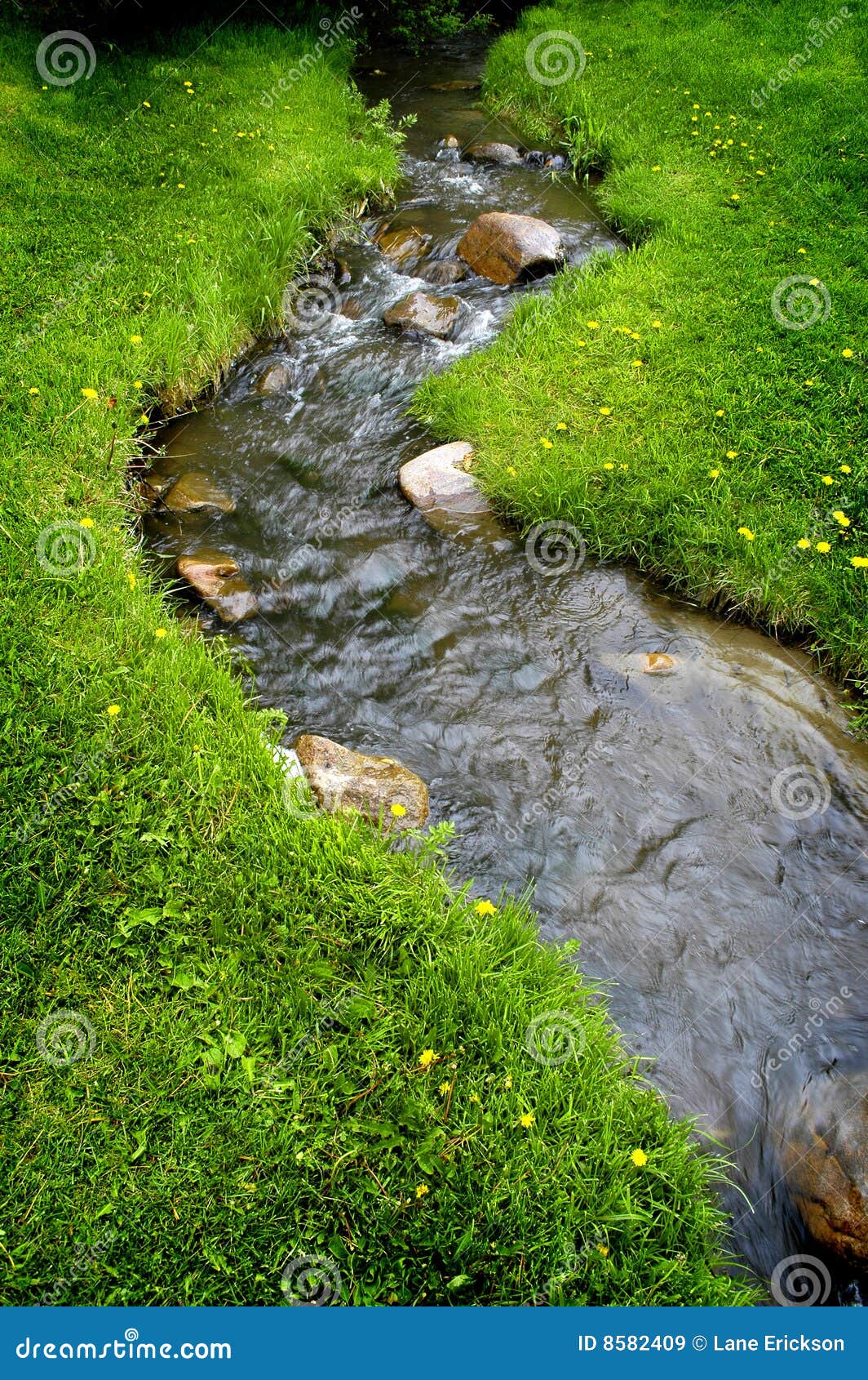 River Water on Rocks stock image. Image of rushing, meadow - 8582409